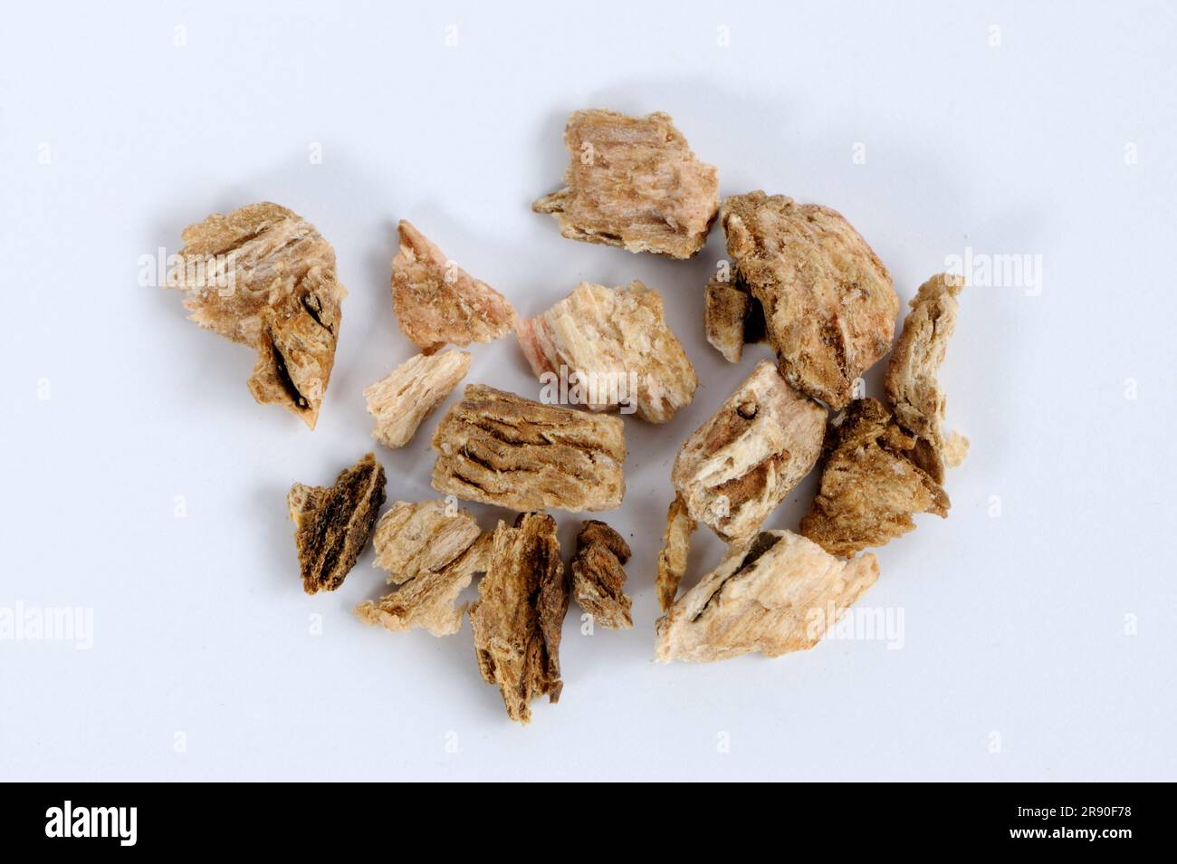 Chinese cardoon root (Dipsaci Radix), Xu Duan, cut out, object Stock ...