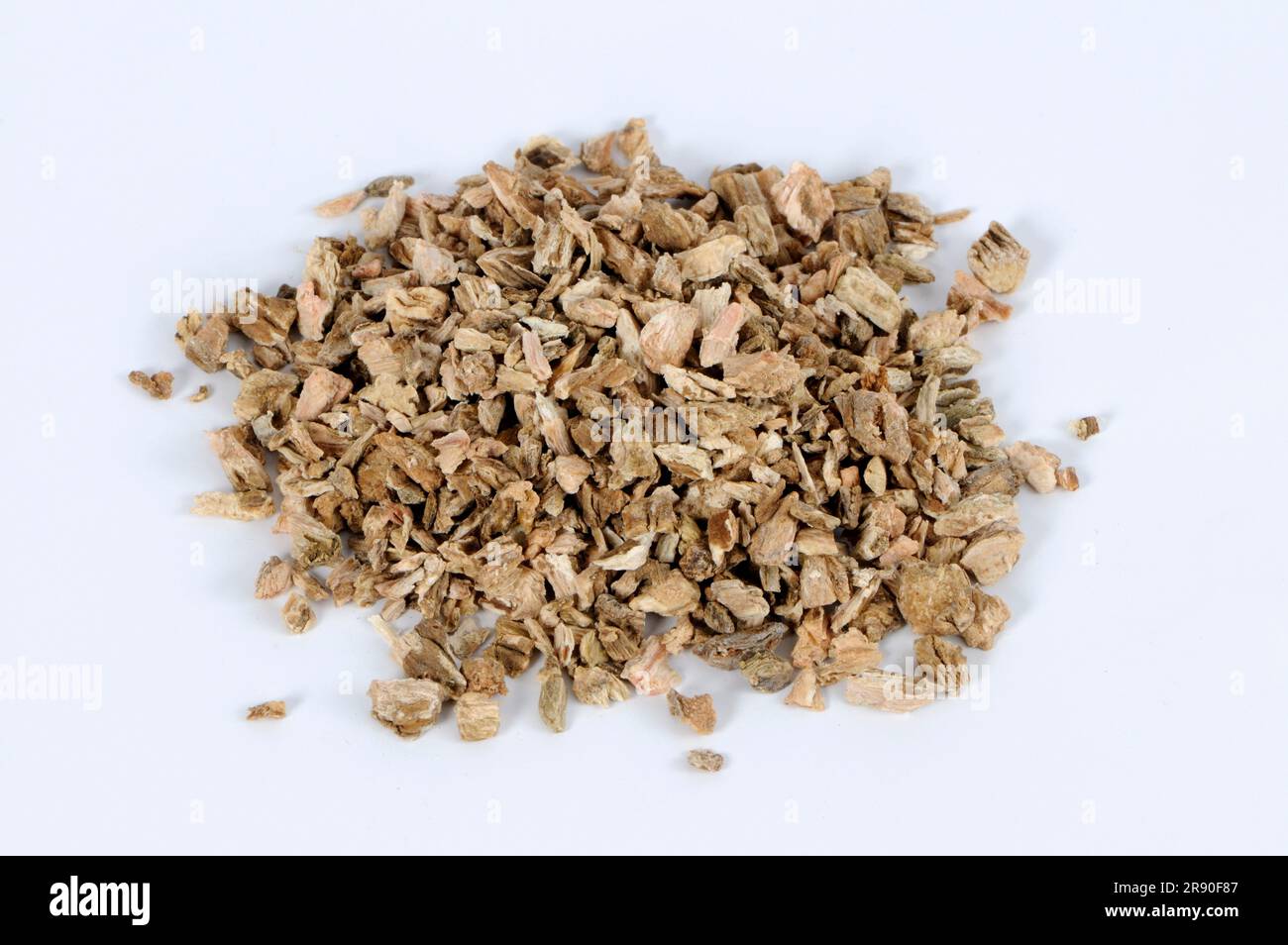Chinese cardoon root (Dipsaci Radix), Xu Duan, cut out, object Stock ...