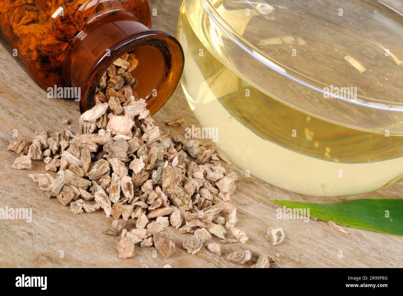 Cup of Chinese Cardoon Root Tea (Dipsaci Radix), Xu Duan, Chinese ...