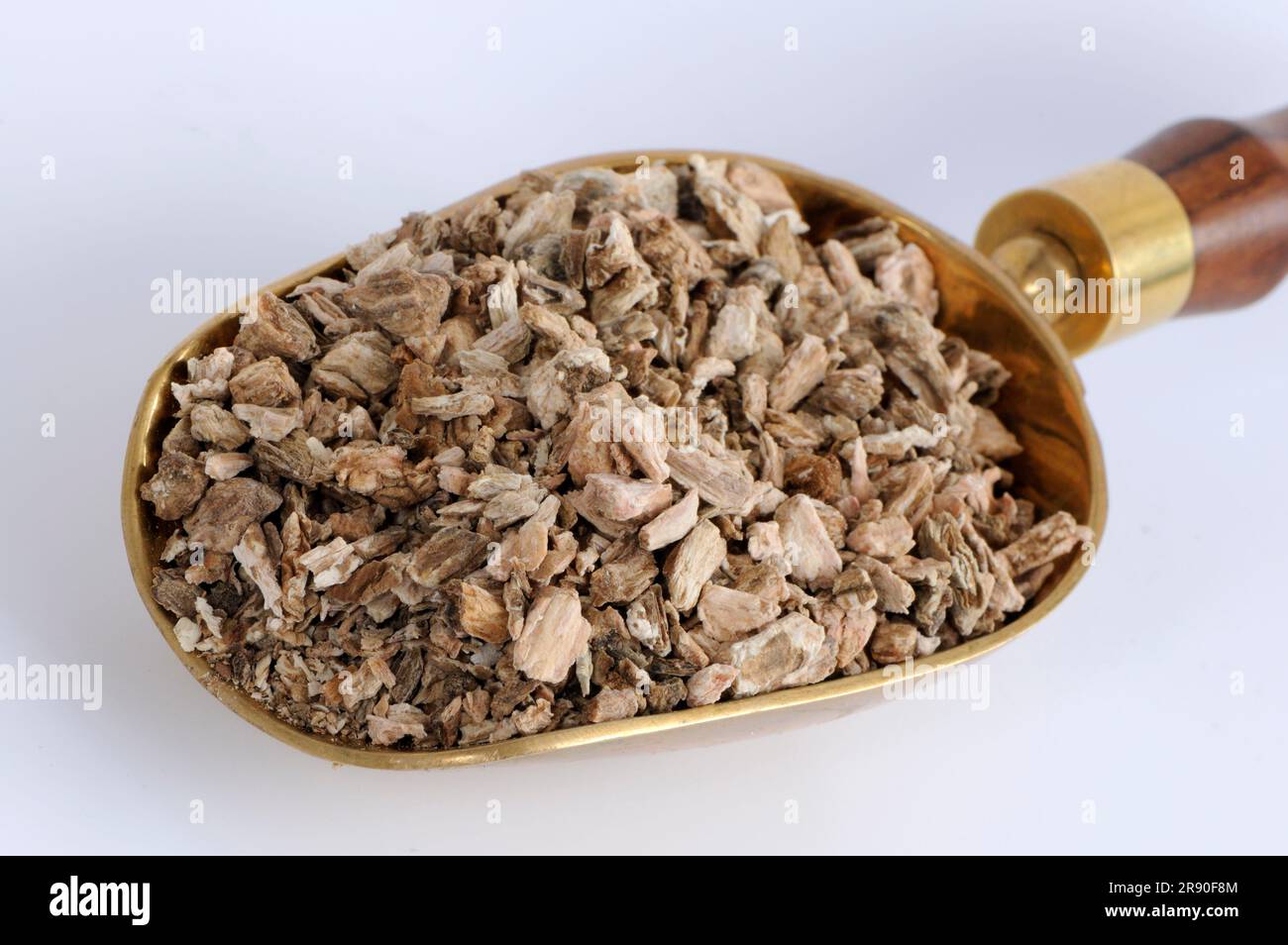 Dipsaci hi-res stock photography and images - Alamy