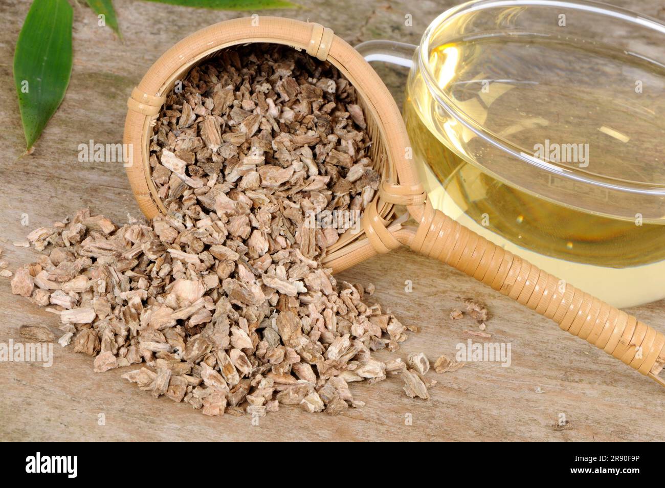 Cup of Chinese Cardoon Root Tea (Dipsaci Radix), Xu Duan, Chinese ...