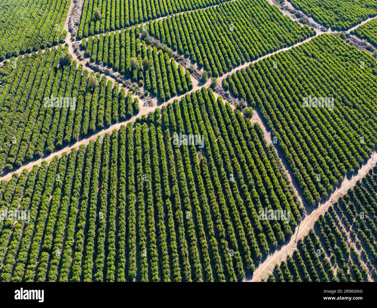 Petorca chile hi-res stock photography and images - Alamy