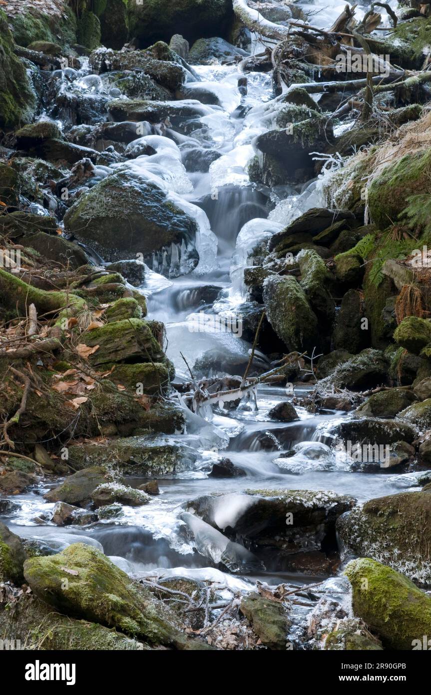 Grosser Regen, Bayerisch Eisenstein, Lower Bavaria, Bavaria, Germany ...