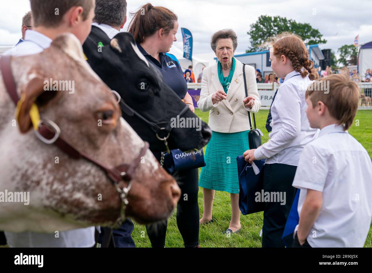 The Princess Royal Meets Exhibitors In The Cattle Ring At The Royal The Princess Royal Meets Exhibitors In The Cattle Ring At The Royal