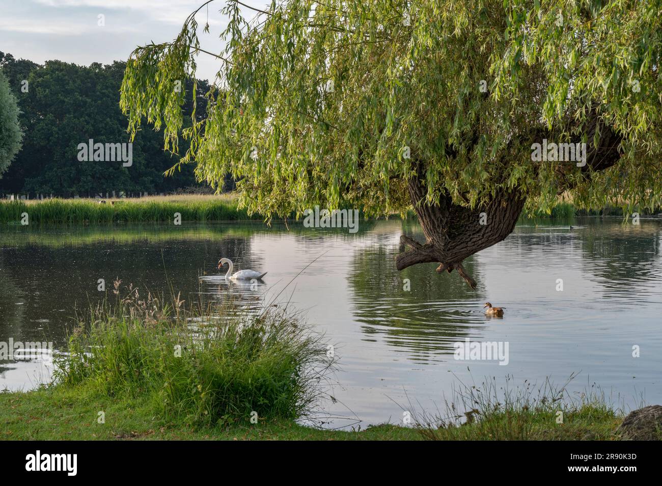 Spending time with nature is the perfect place to sit and meditate ...