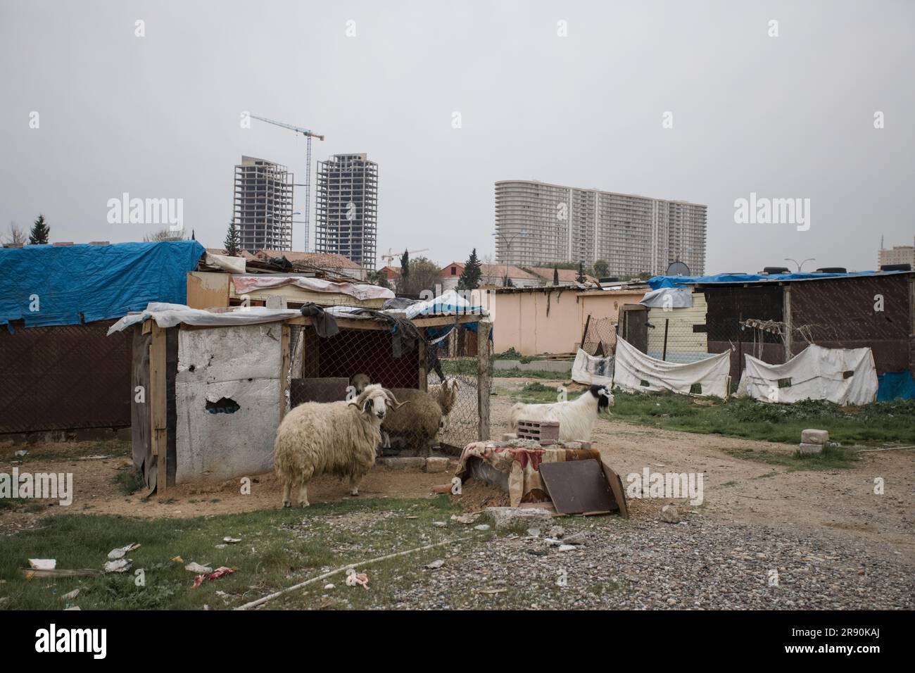 Gabriel Gauffre / Le Pictorium - Bashur - 15/3/2021 - Iraq / Iraqi ...
