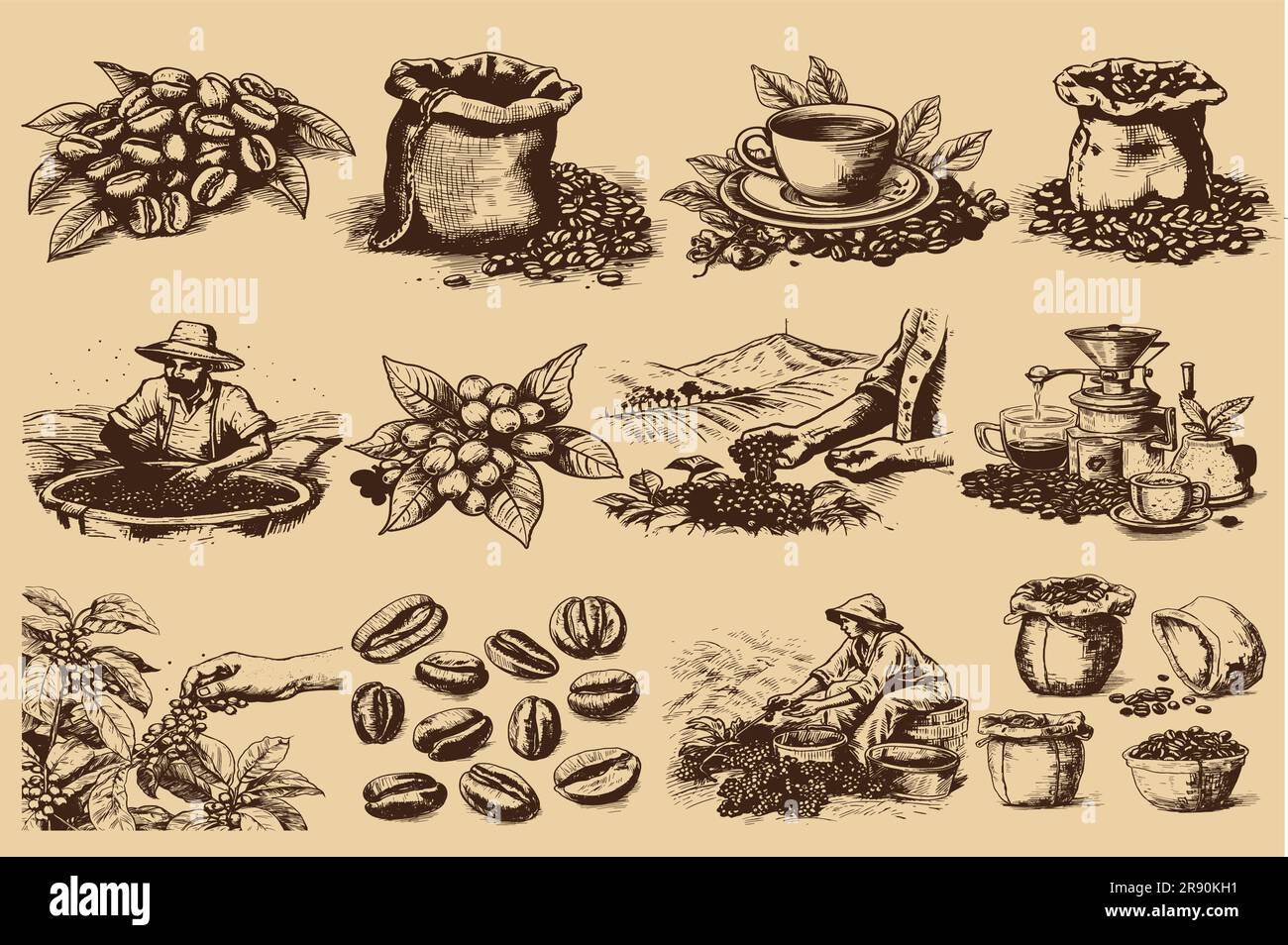 Vector set of coffee tree branches. Agriculture. Life of a farmer ...