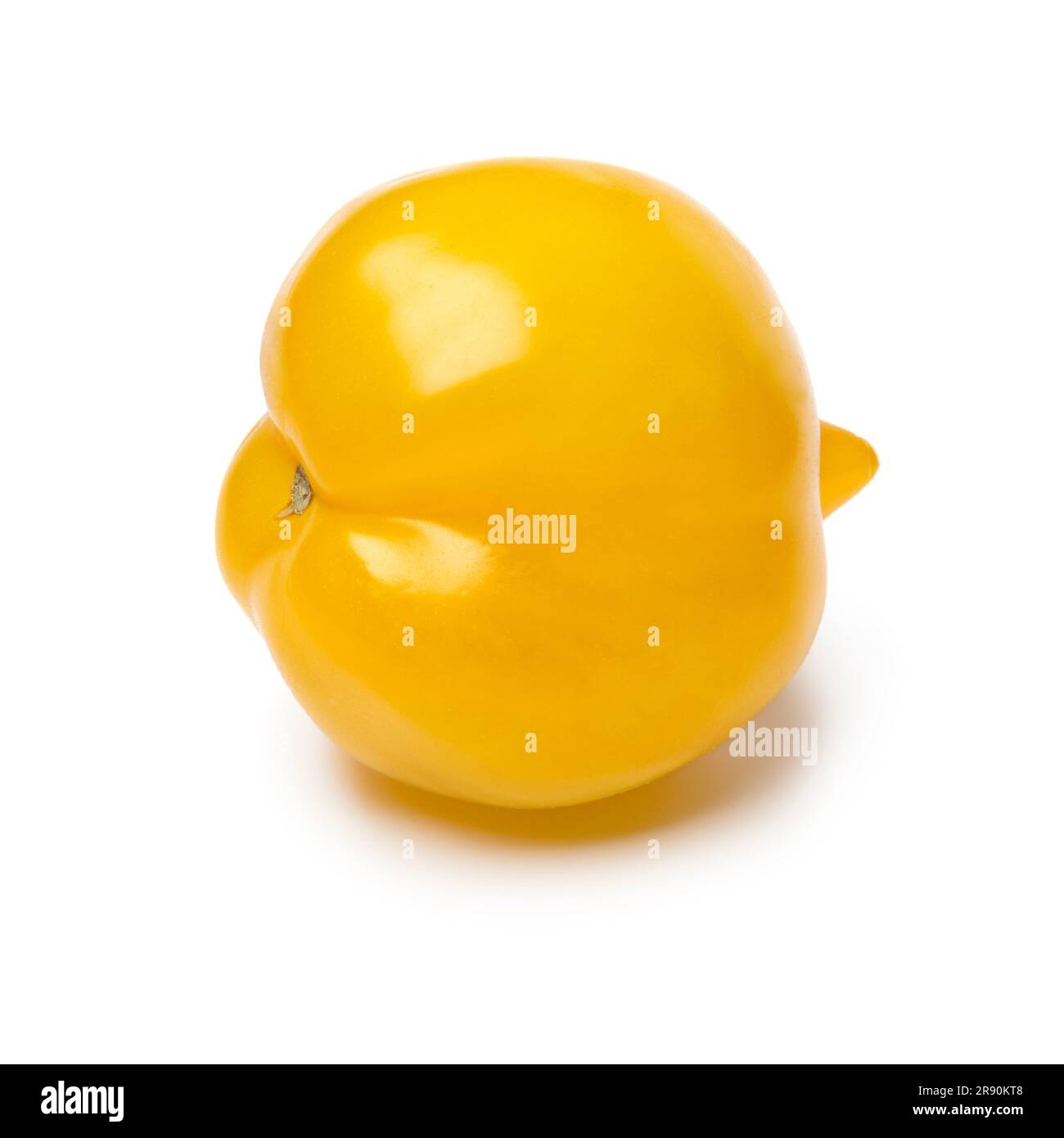 Single fresh heirloom variaty of yellow Mountain Vesuvius tomato close ...