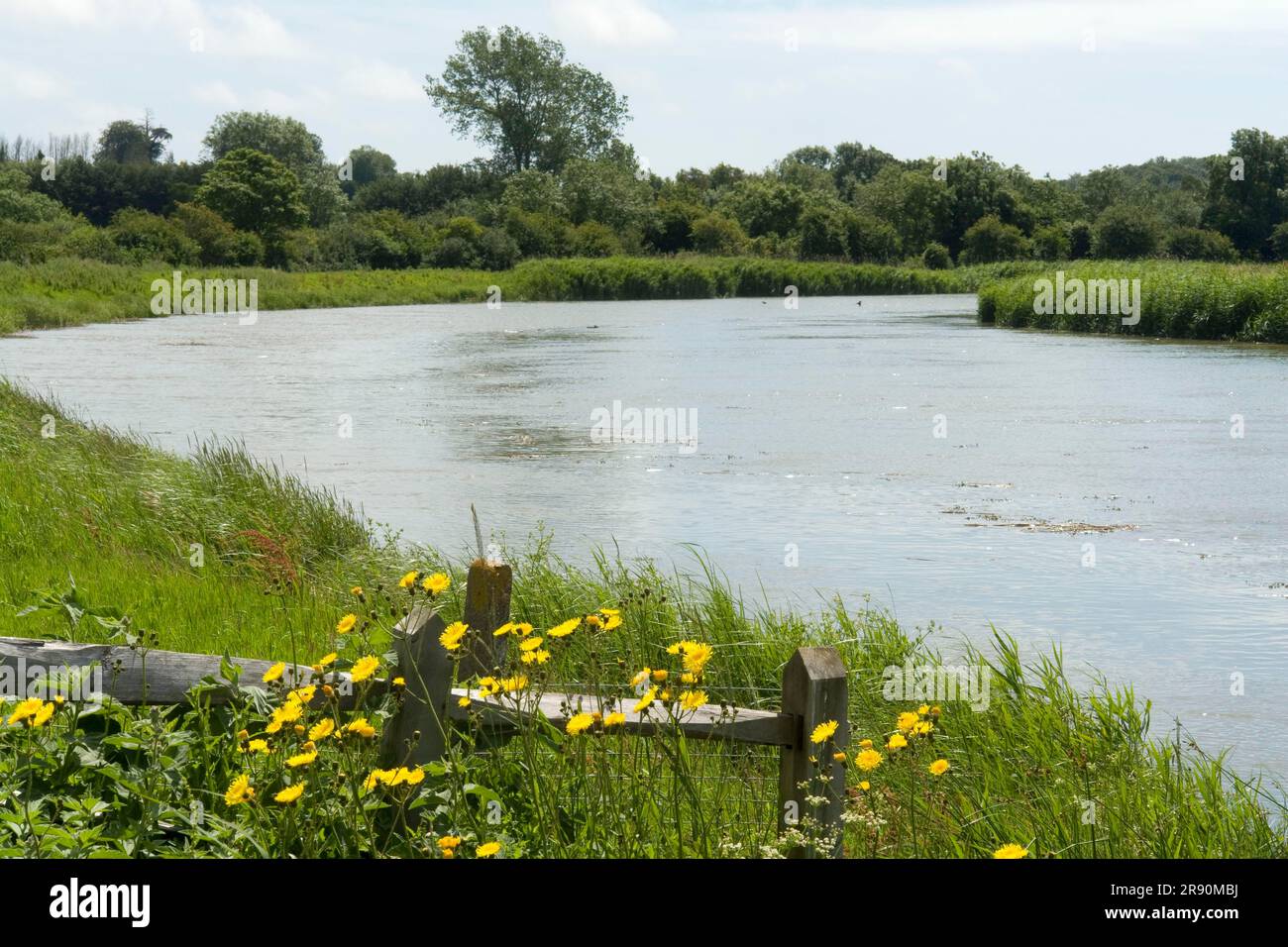 British landscape arundel hi-res stock photography and images - Alamy