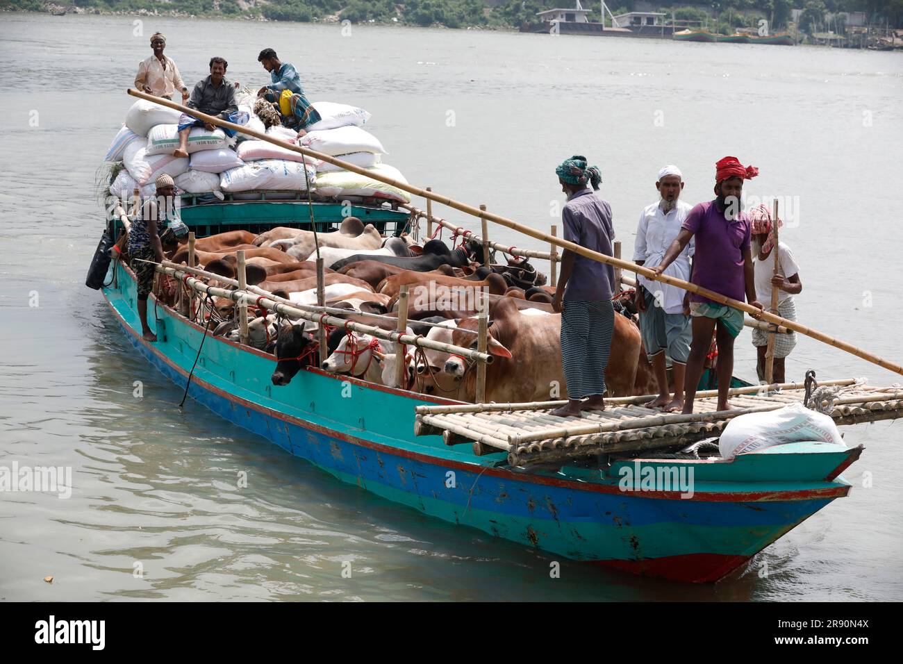 Eid ul adha 2023 hi-res stock photography and images - Alamy