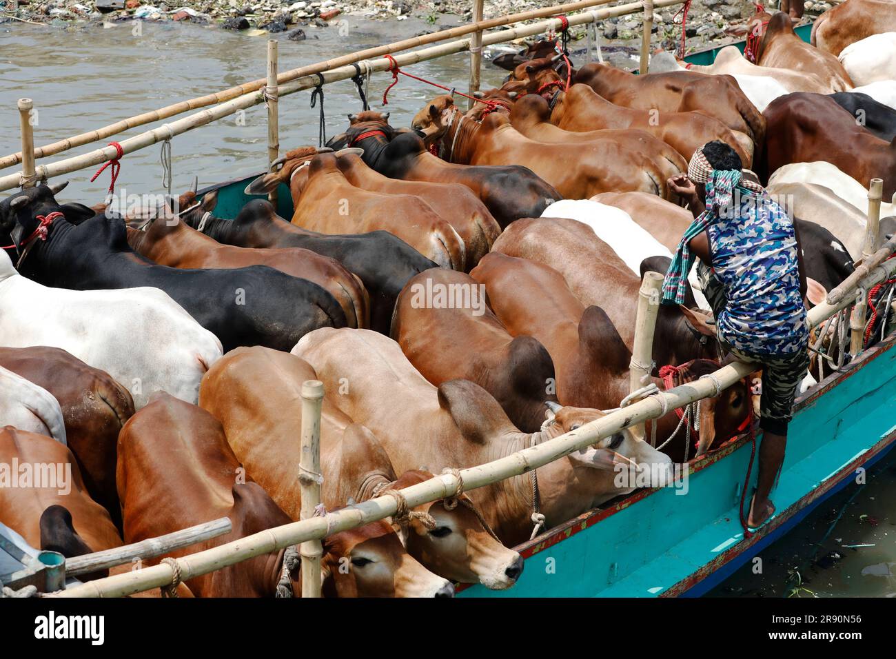 Eid ul adha 2023 hi-res stock photography and images - Alamy
