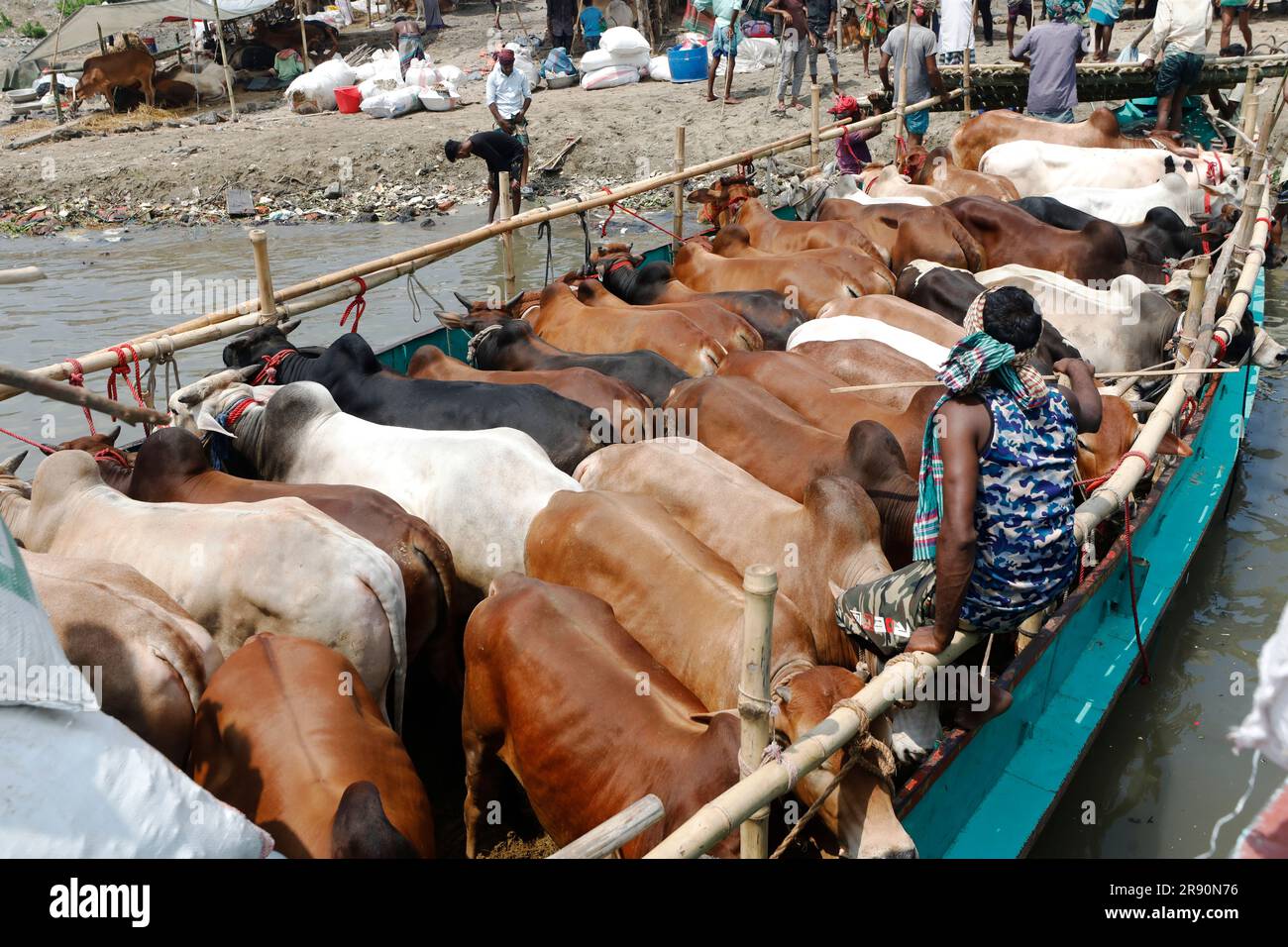 Dhaka, Bangladesh -June 23, 20023: On the occasion of the holy Eid-ul ...