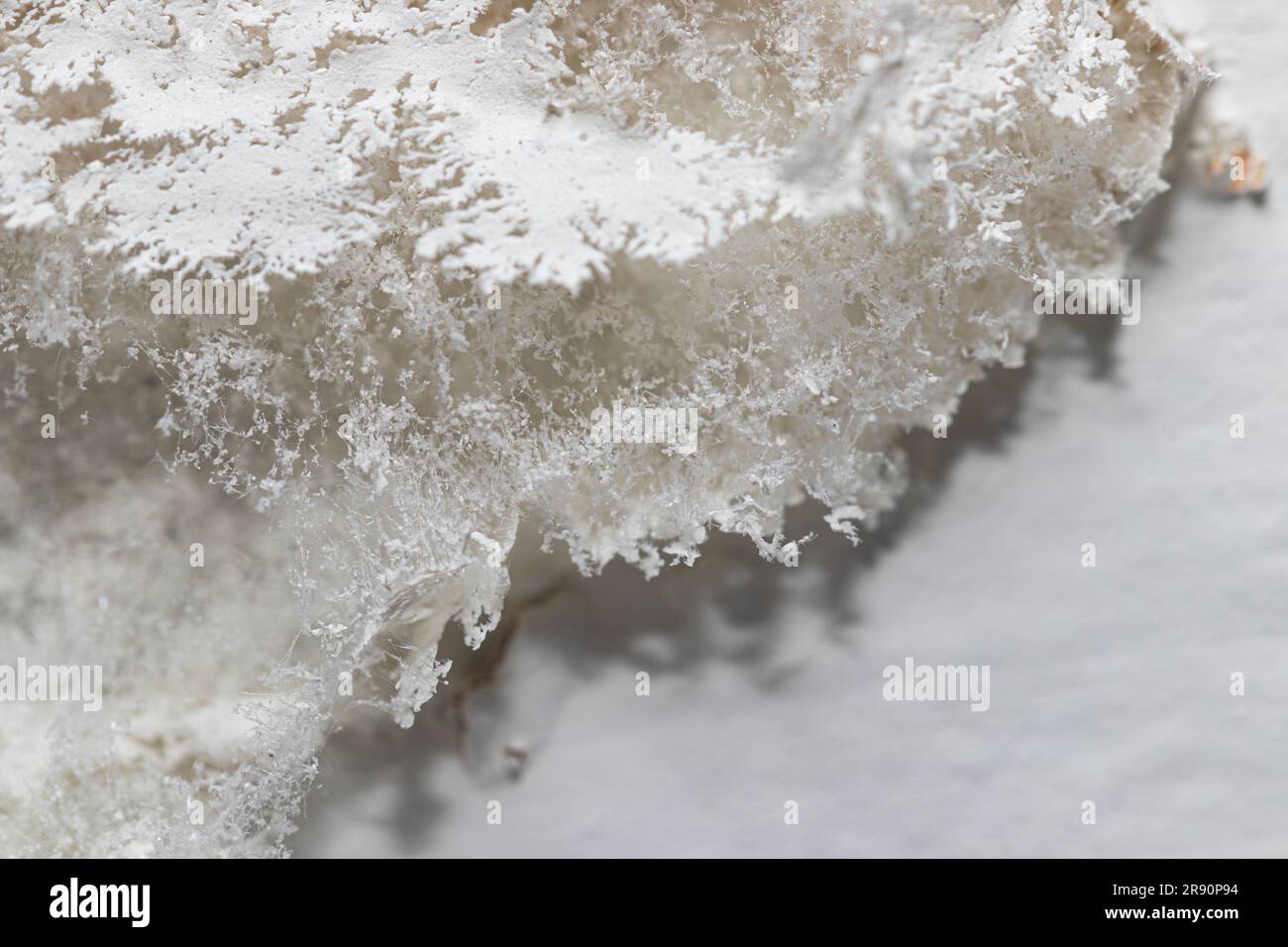Closeup efflorescence on building wall at high magnification show the ...