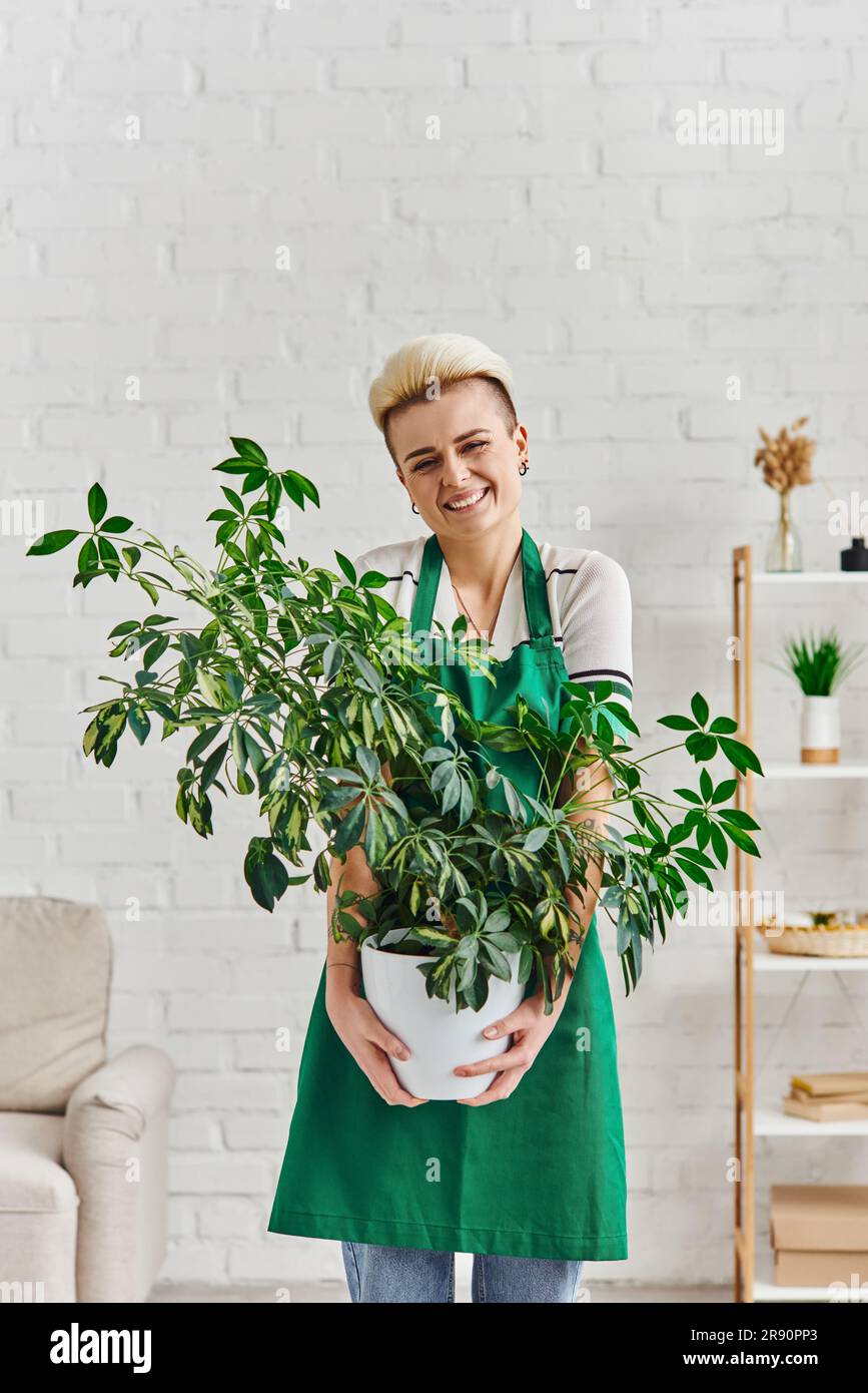 stylish and overjoyed woman in green apron standing in modern living ...
