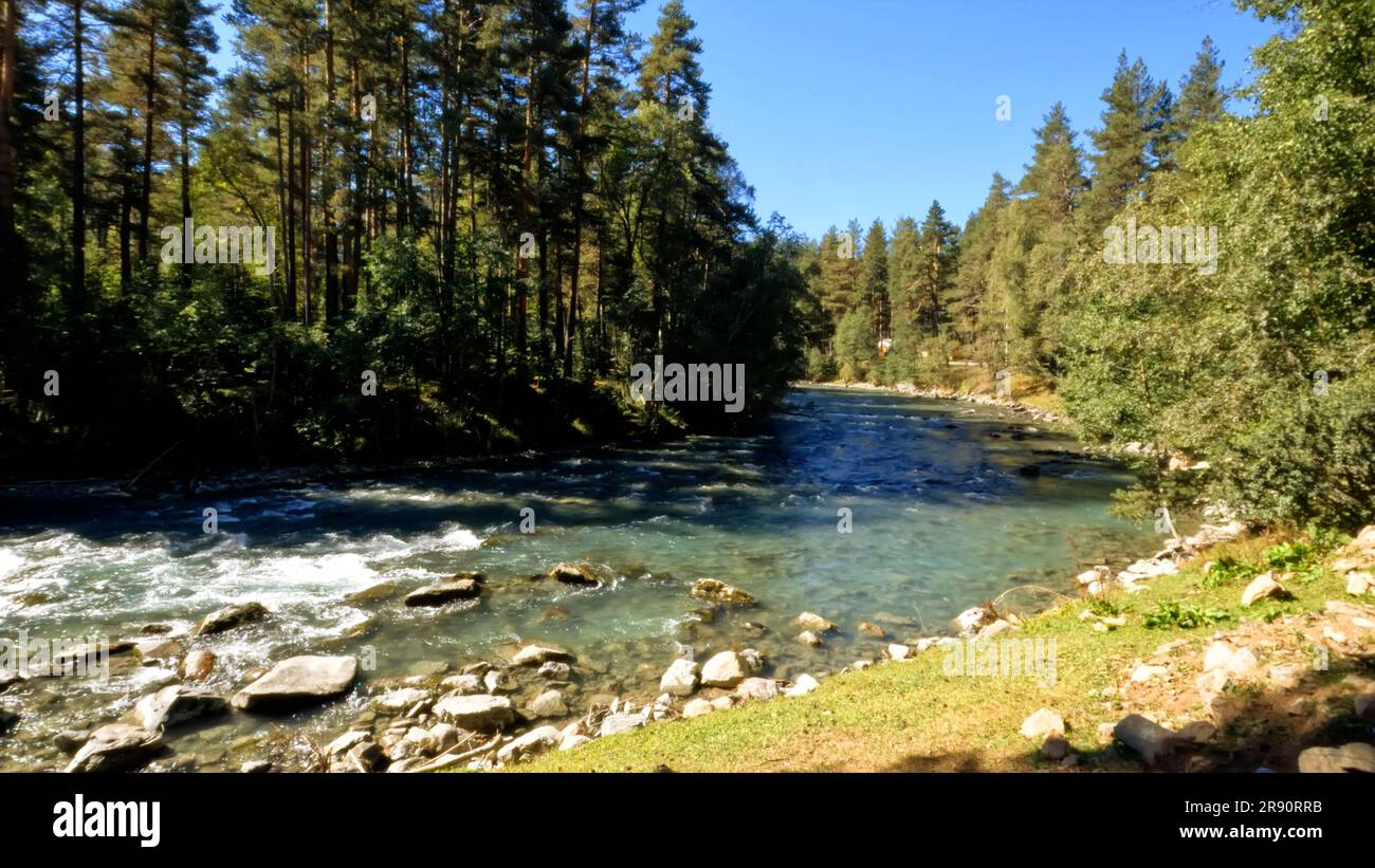 nice fast mountain ridge stream with clear water at summertime day ...
