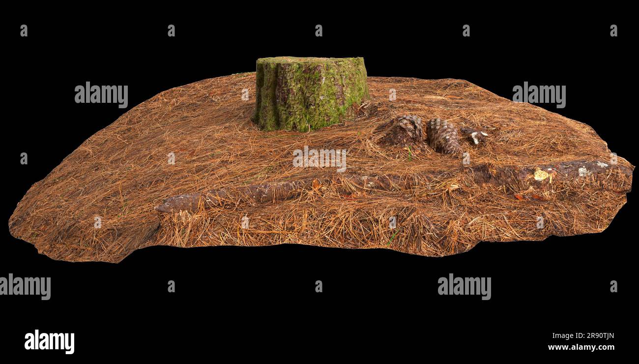 3d illustration of dry tree stump isolated on black background Stock ...