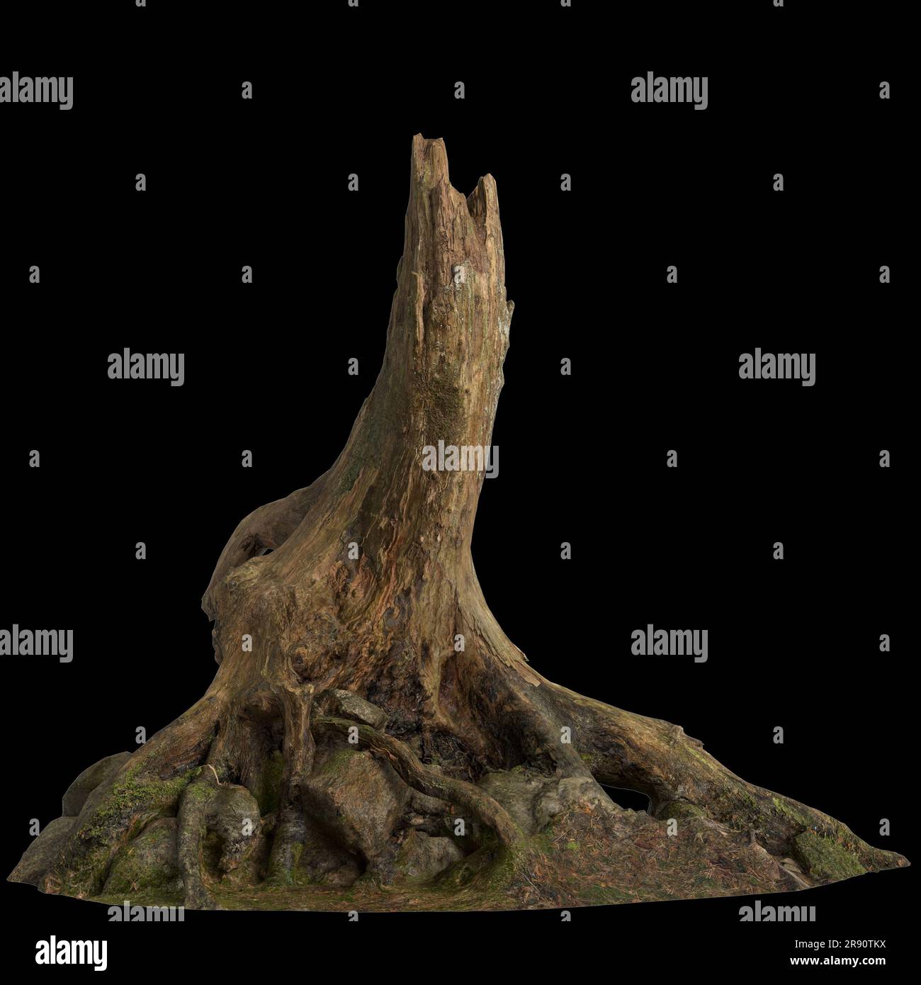 3d illustration of dry tree stump isolated on black background Stock ...