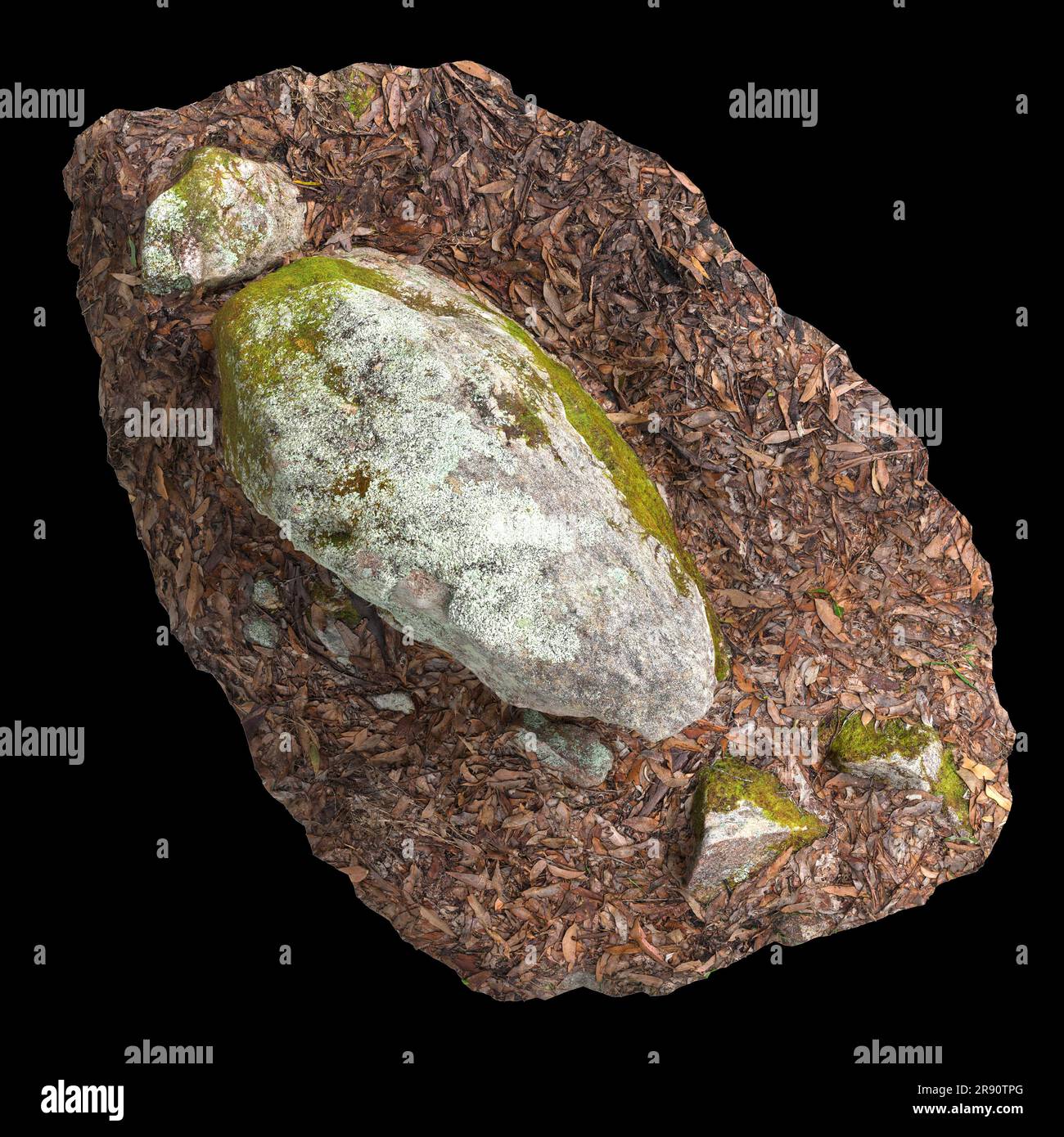 3d illustration of moss covered rocks, set on dry leaves isolated on ...