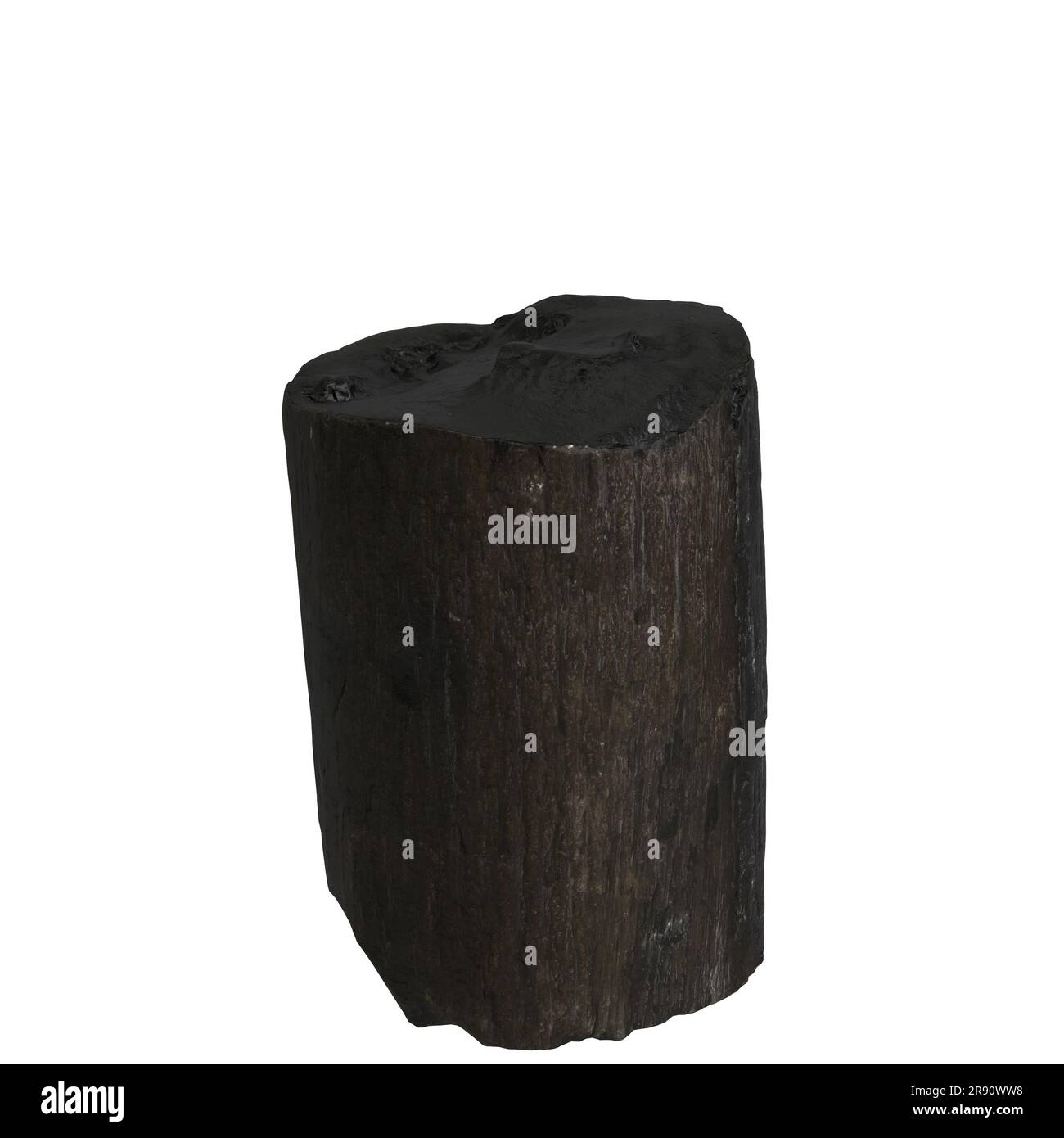 Old cotton plant Cut Out Stock Images & Pictures - Alamy