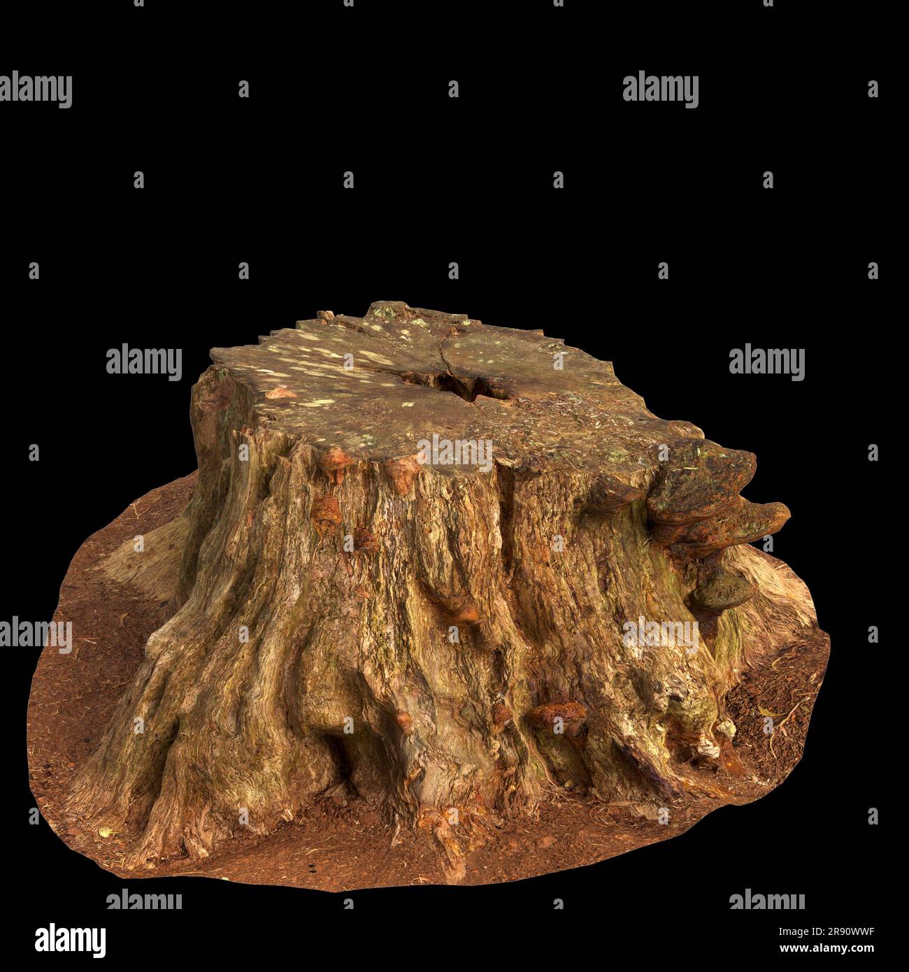 3d illustration of dry tree stump isolated on black background Stock ...