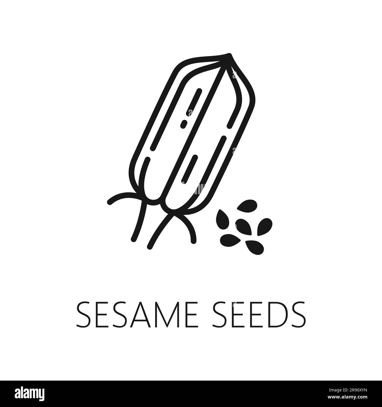 Sesame seed isolated outline icon. Vector natural food condiment, thin ... Sesame seed isolated outline icon. Vector natural food condiment, thin ...