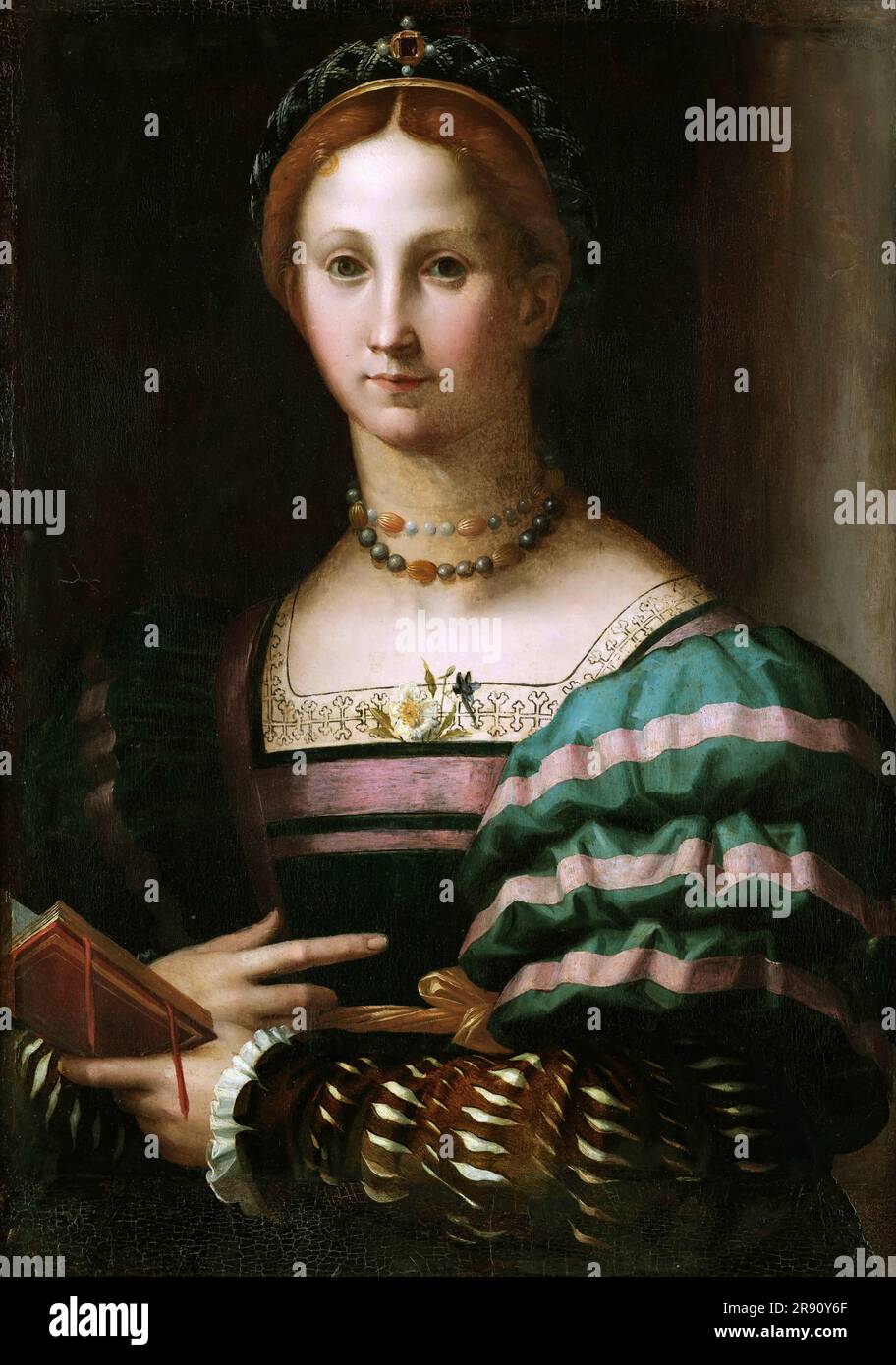 Portrait of a Lady, ca 1550-1560. Found in the collection of the Museo ...