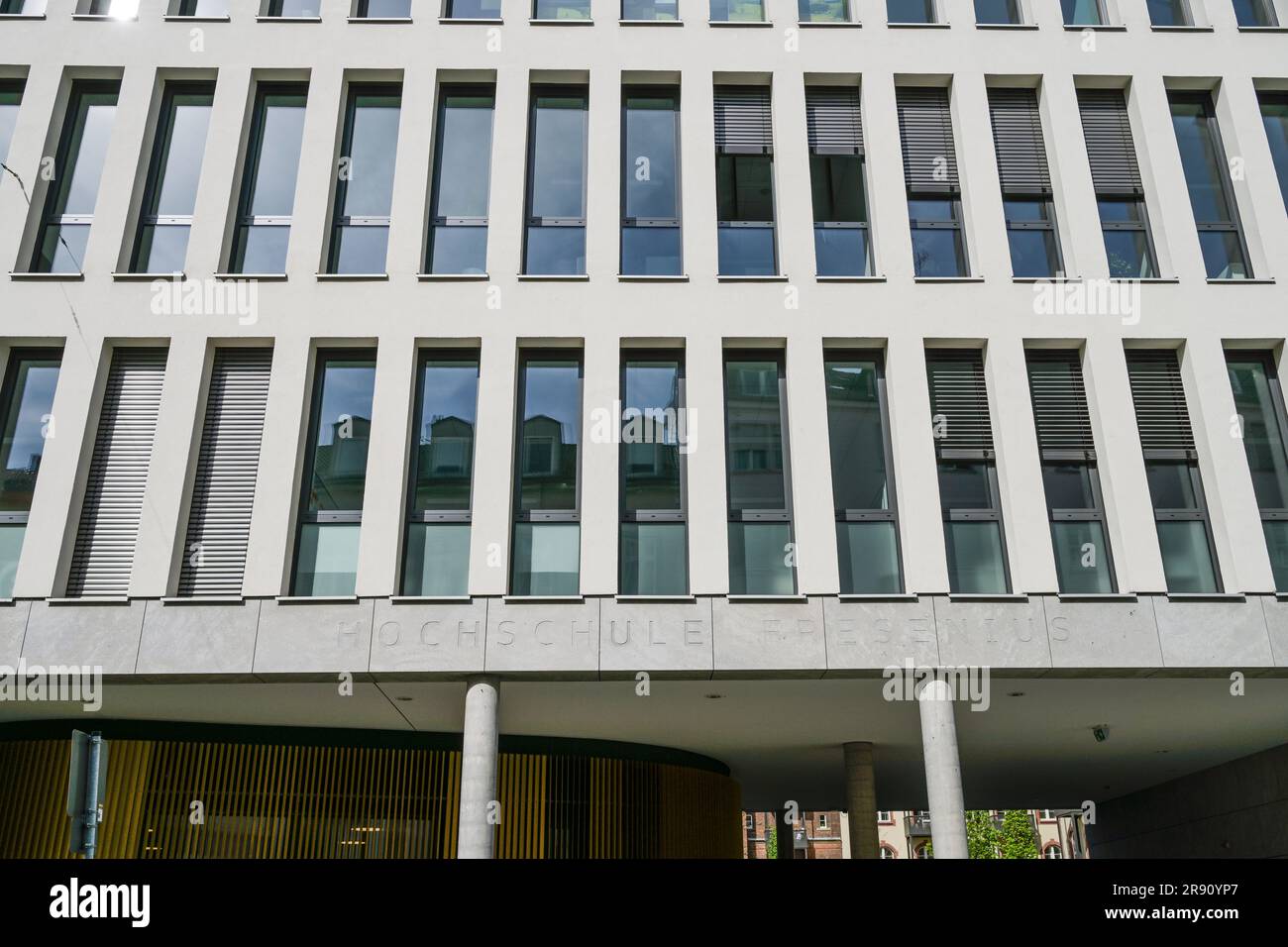 Hochschule Fresenius, Moritzstraße, Wiesbaden, Hessen, Deutschland ...