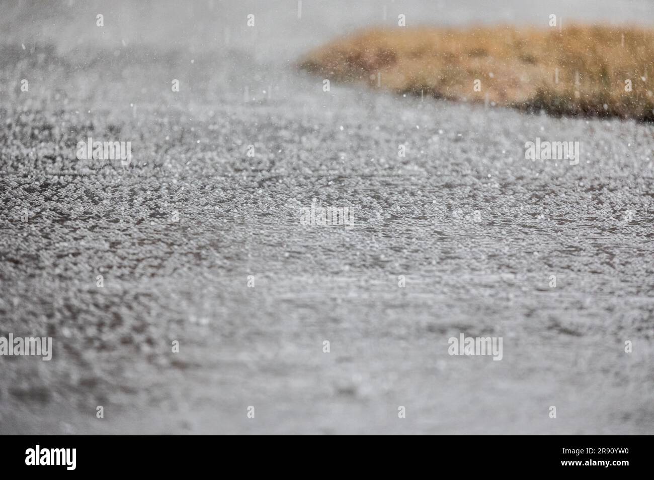 Rain splattering on pavement with small pieces of hail Stock Photo - Alamy