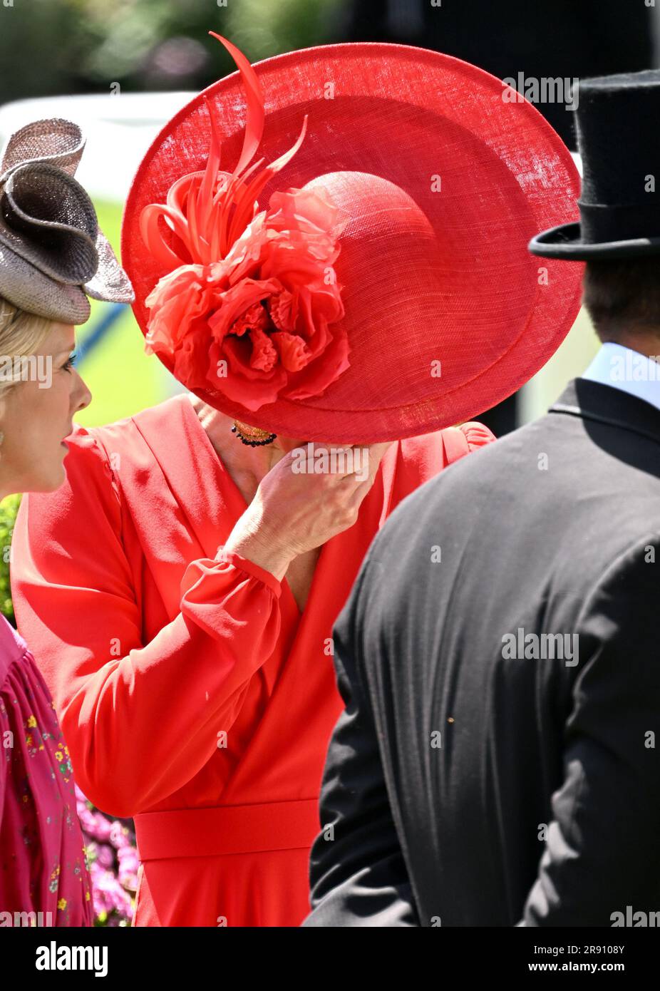 Philip tracey hat hi-res stock photography and images - Alamy