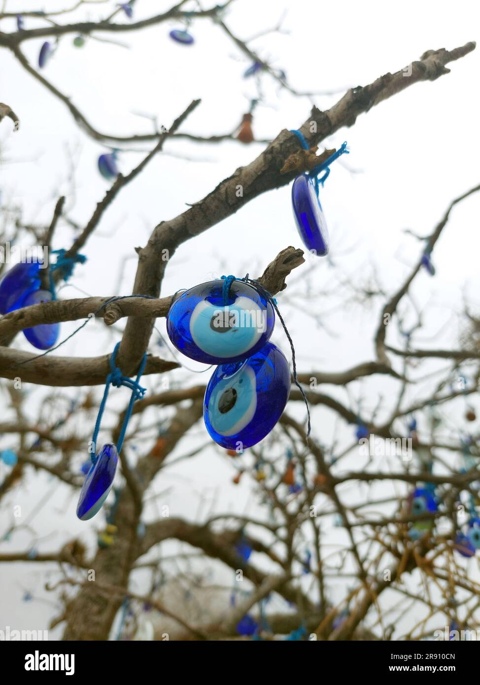 A closeup of tree with multiple blue evil eye charms hanging from it ...