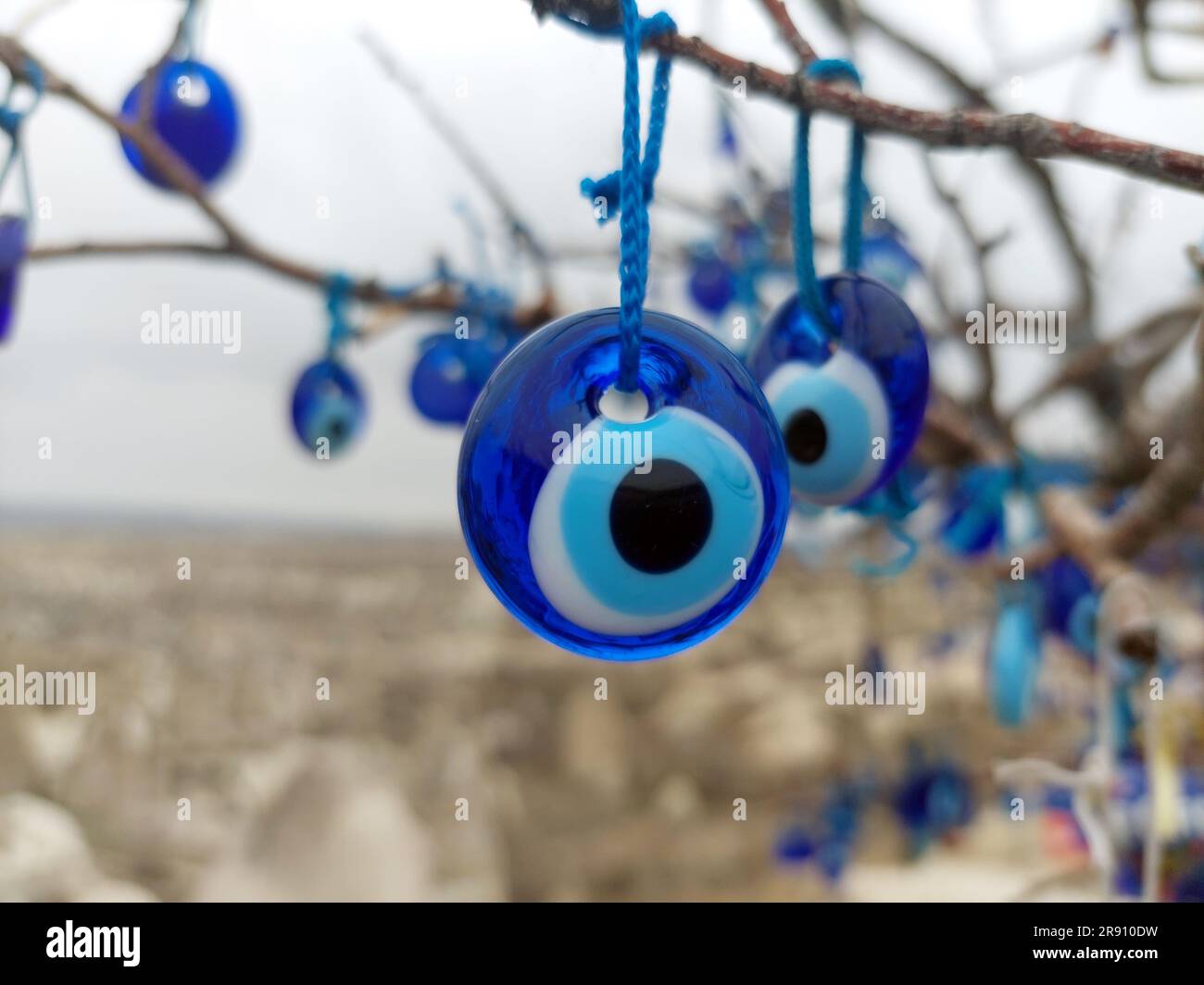 A closeup of tree with multiple blue evil eye charms hanging from it ...
