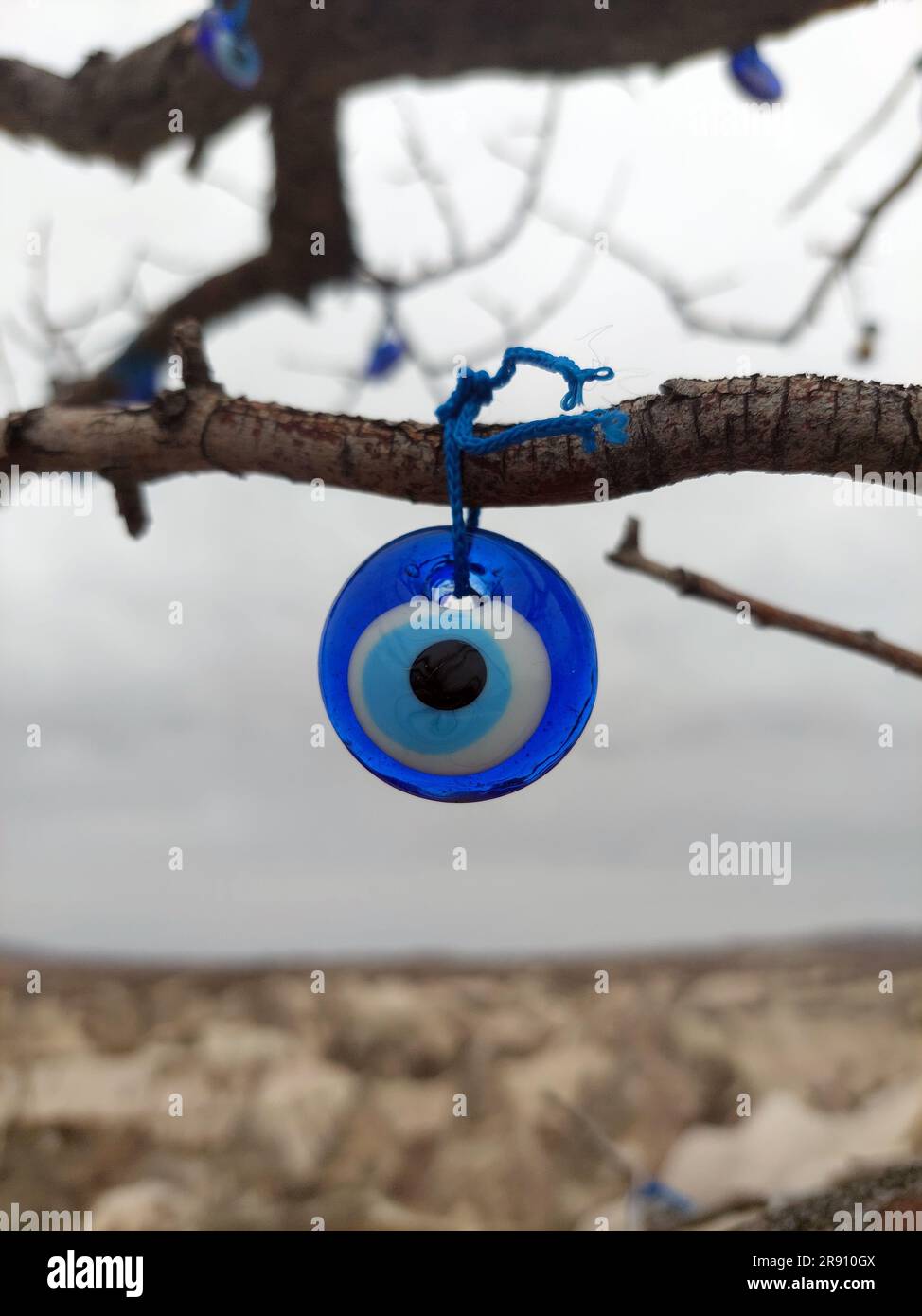 A closeup of tree with multiple blue evil eye charms hanging from it ...