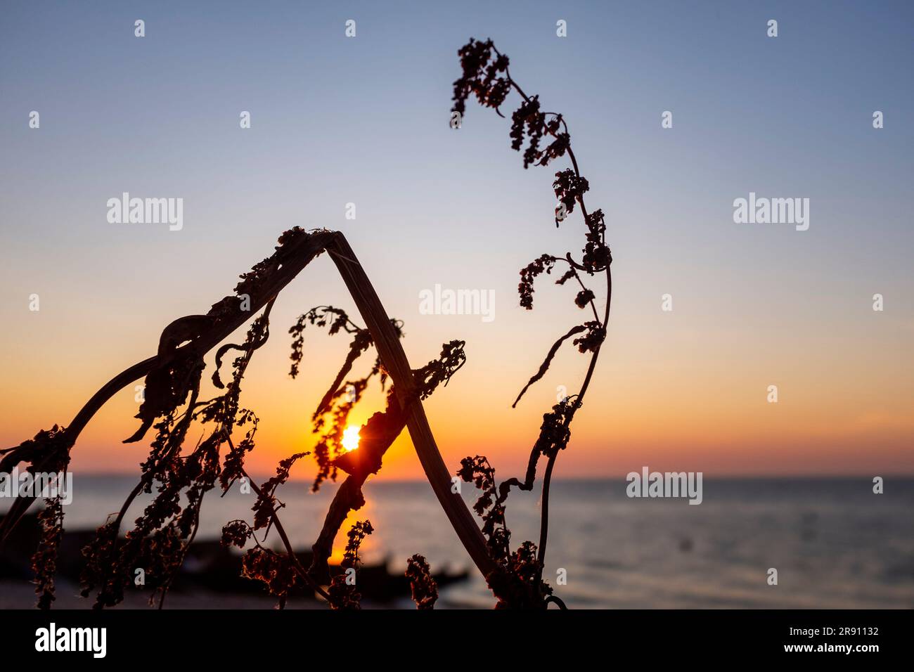 Thames estuary tourists hi-res stock photography and images - Alamy