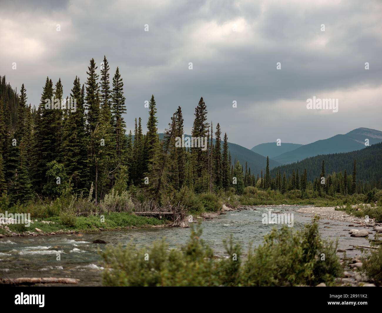 The natural beauty of Bragg Creek Provincial Park in Alberta, Canada ...