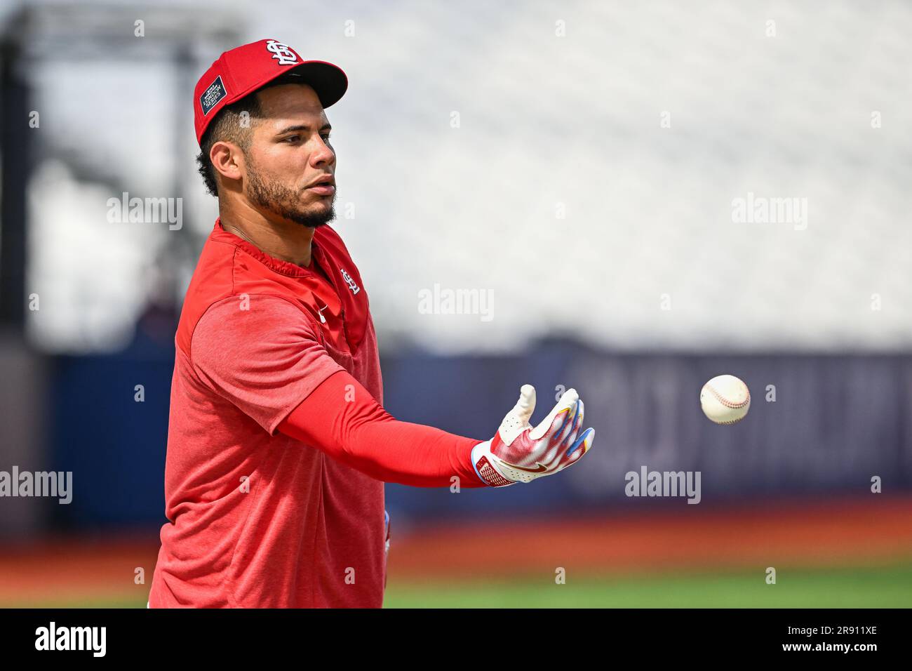 Willson Contreras #40 of the St. Louis Cardinals during the 2023 MLB ...
