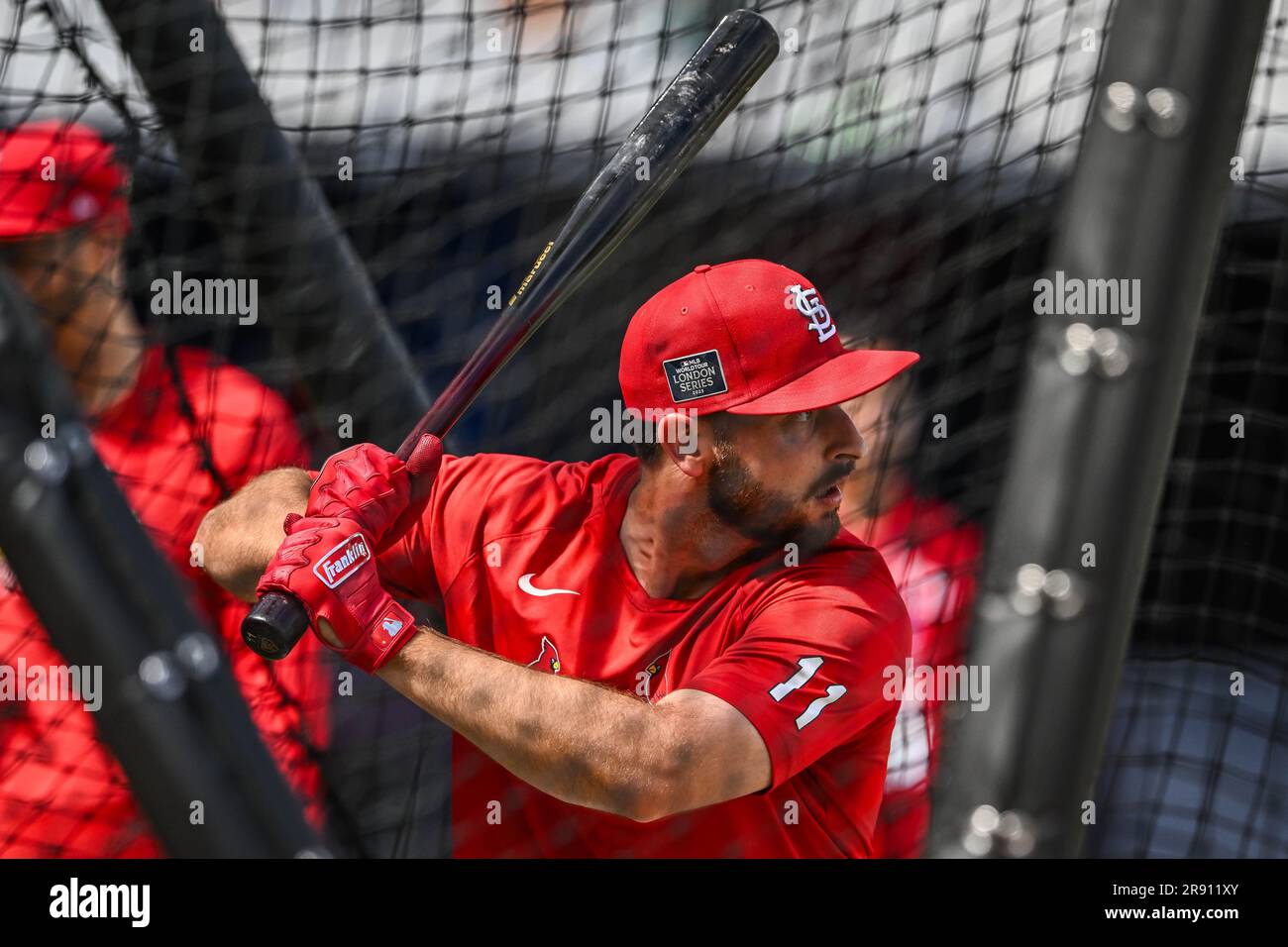 Paul DeJong #11 of the St. Louis Cardinals in the batting cage during ...