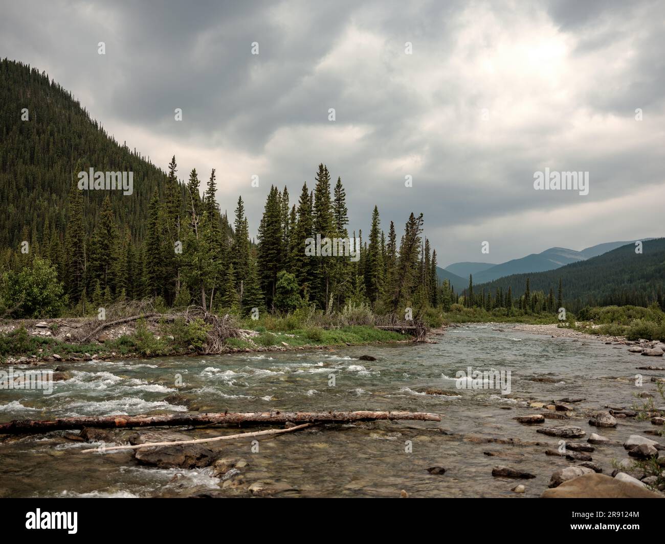 The natural beauty of Bragg Creek Provincial Park in Alberta, Canada ...
