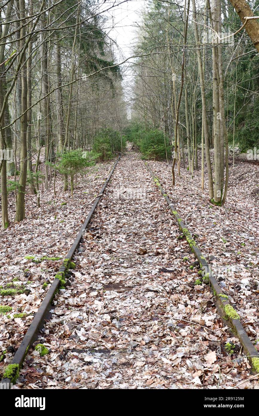 Defunct train track - tracks overgrown and covered with leaves, Czech ...
