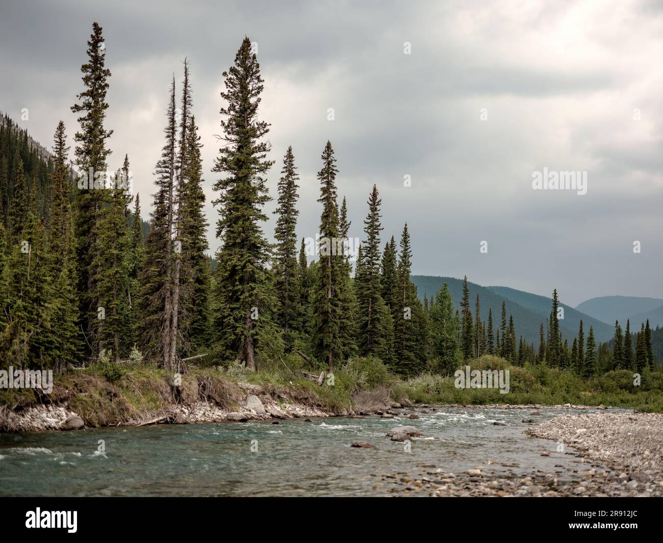 The natural beauty of Bragg Creek Provincial Park in Alberta, Canada ...