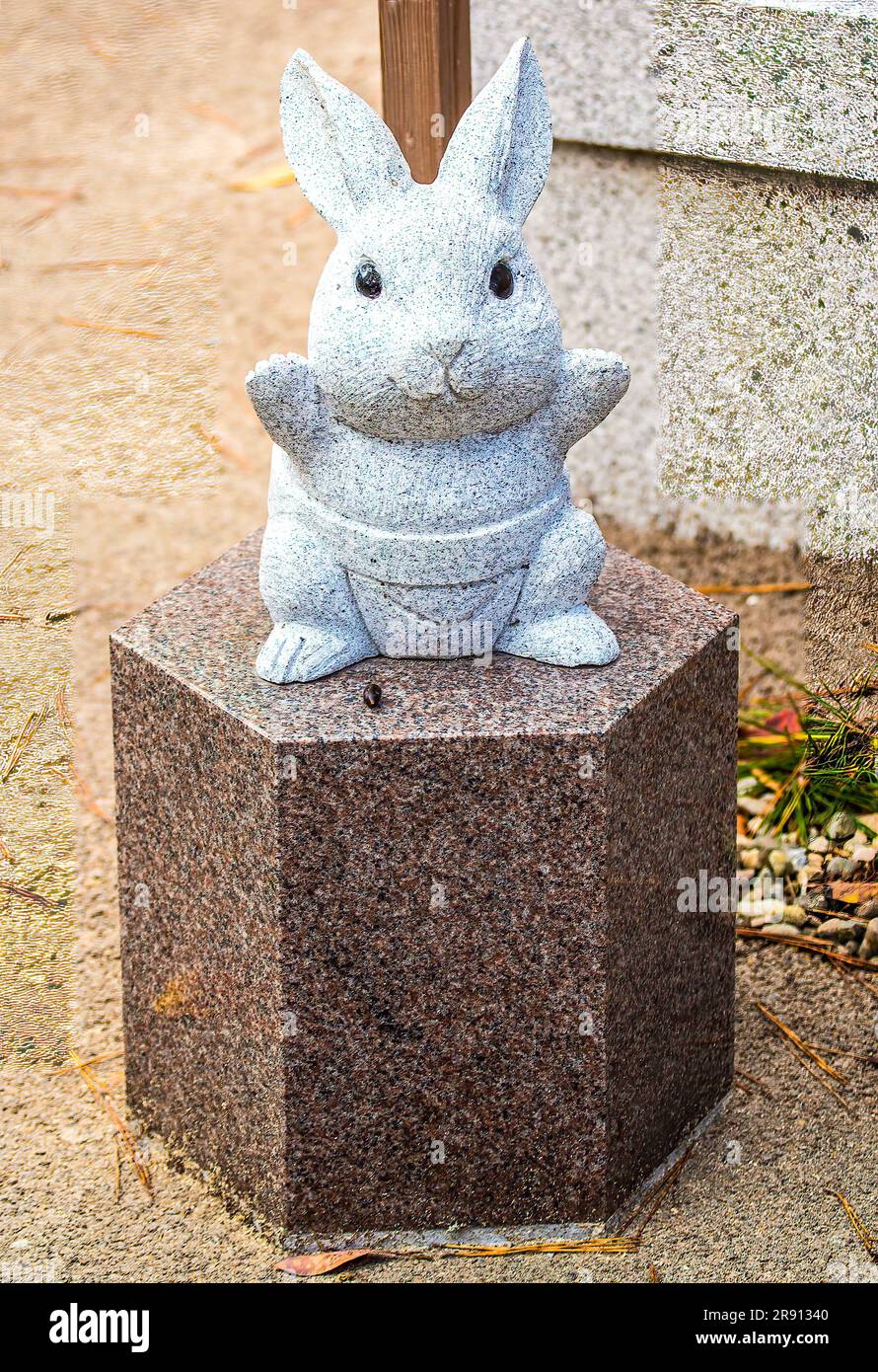 Something about white rabbits Stock Photo - Alamy