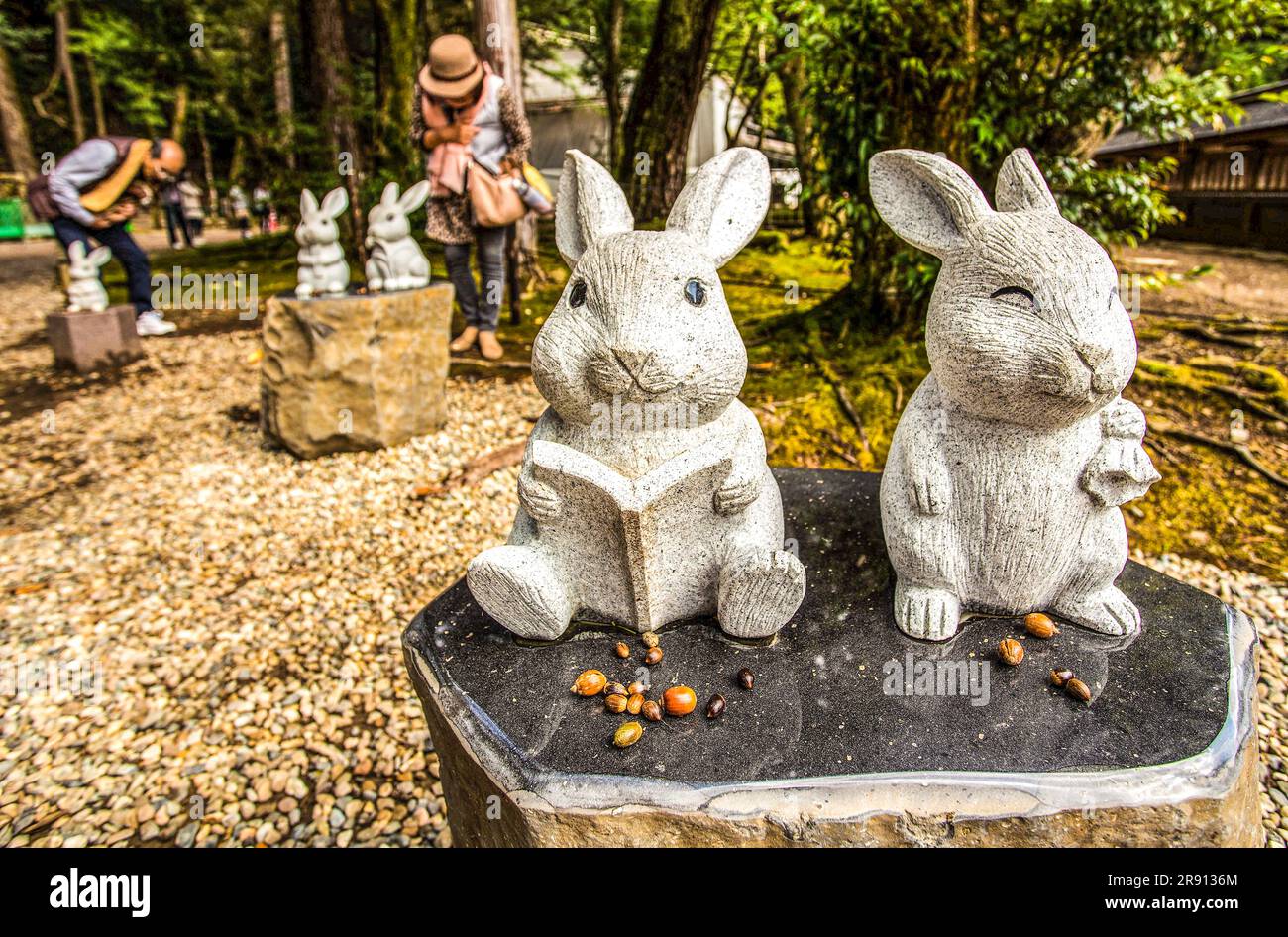 Something about white rabbits Stock Photo - Alamy