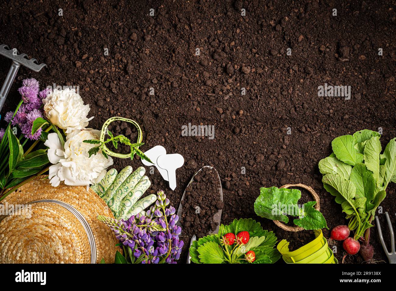 Garden tools and plants Stock Photo - Alamy