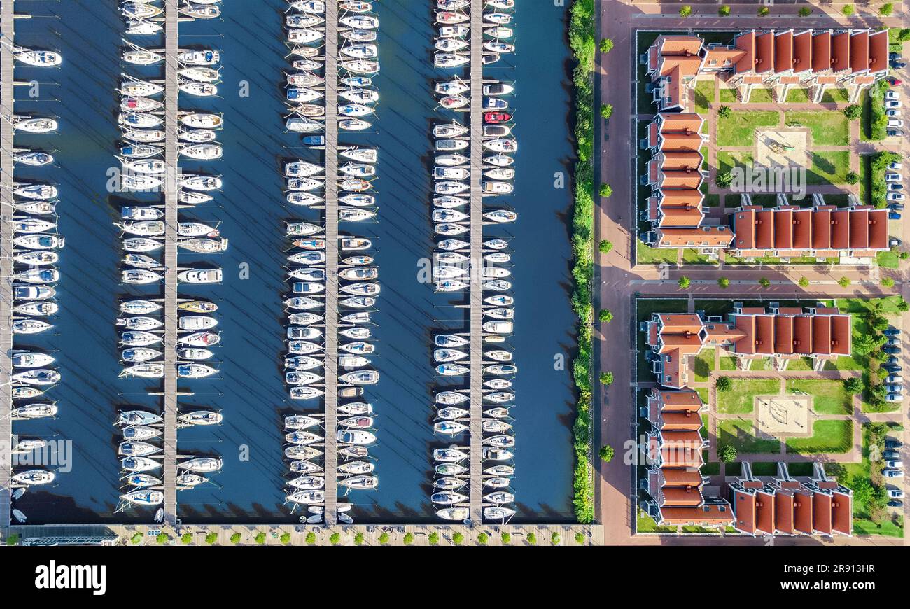 Aerial drone view of typical modern Dutch houses and marina in harbor ...