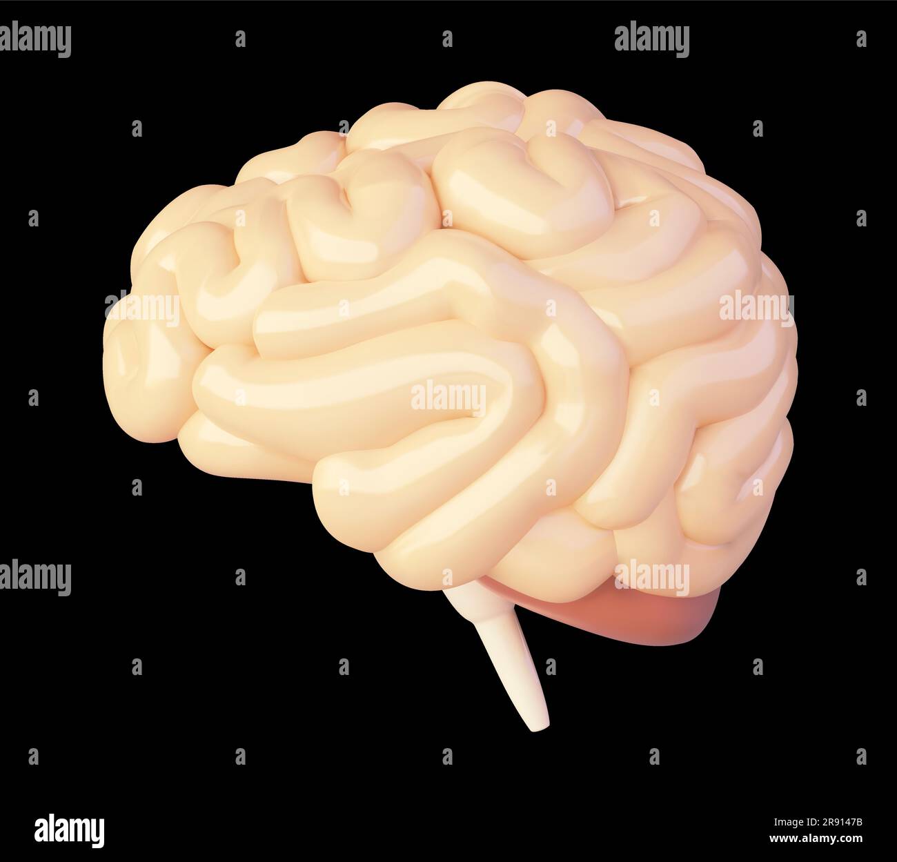 Vector brain icon. Low poly brain illustration, side view Stock Vector ...