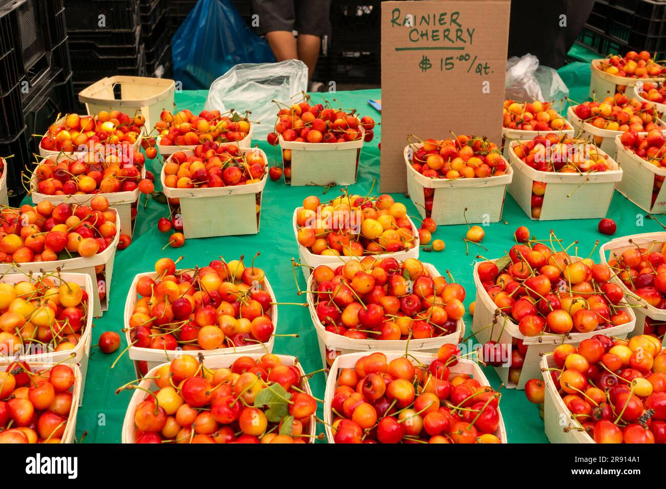 Baskets of cherries, with their expensive prices, on sale at the Union ...
