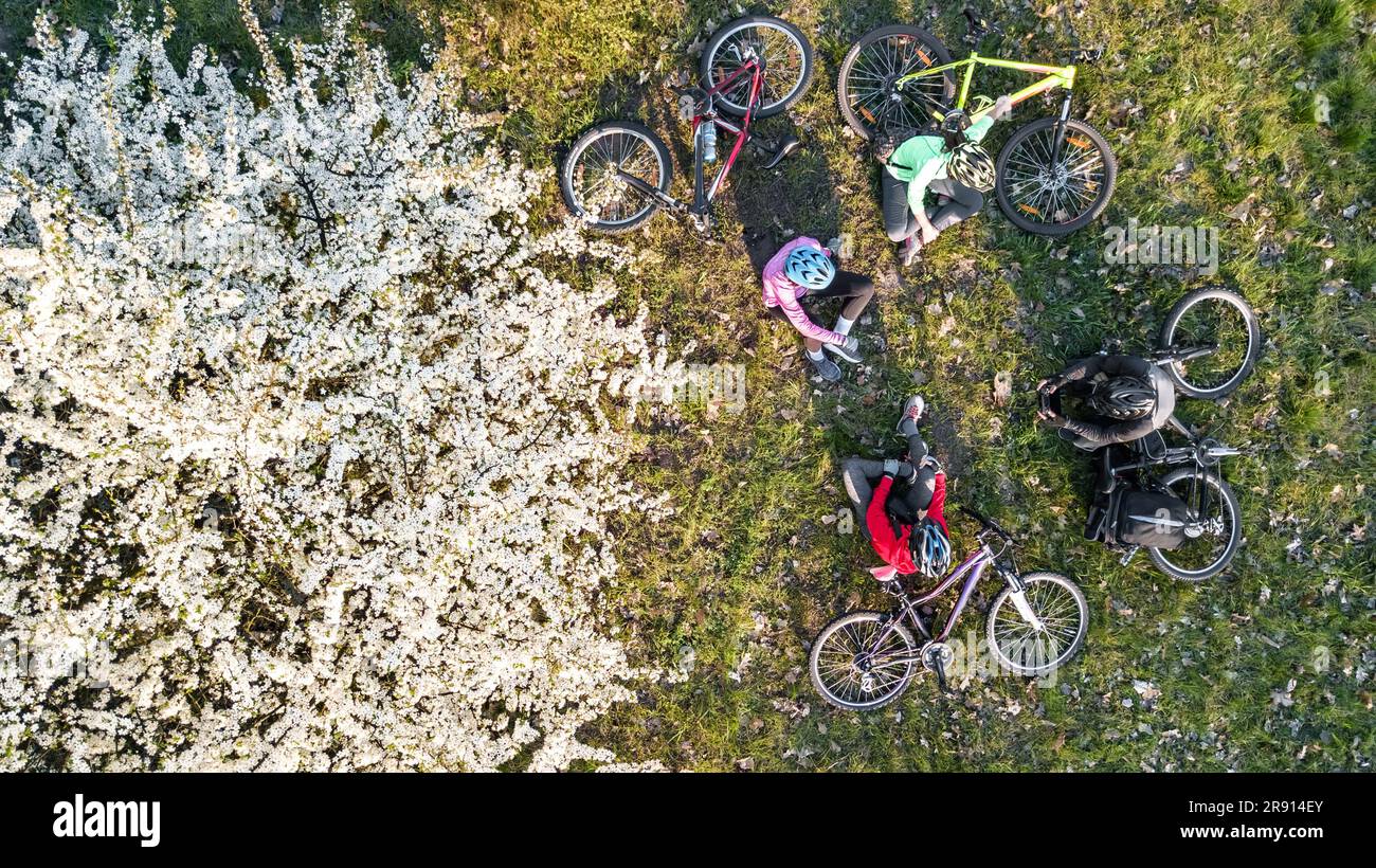 Spring family cycling on bikes aerial top view from above, happy active ...