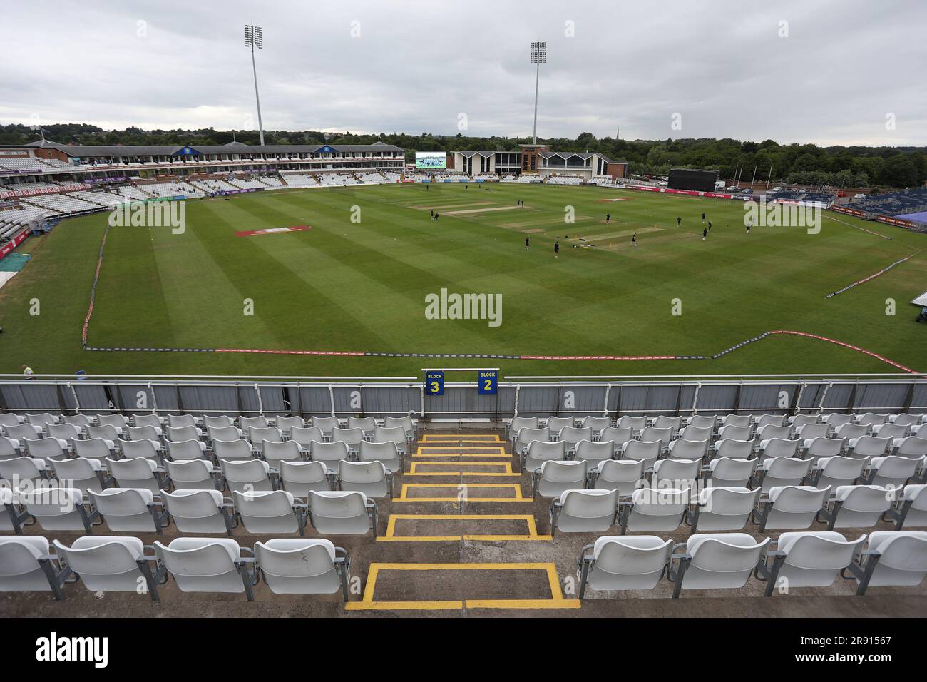Cricket Field Michigan