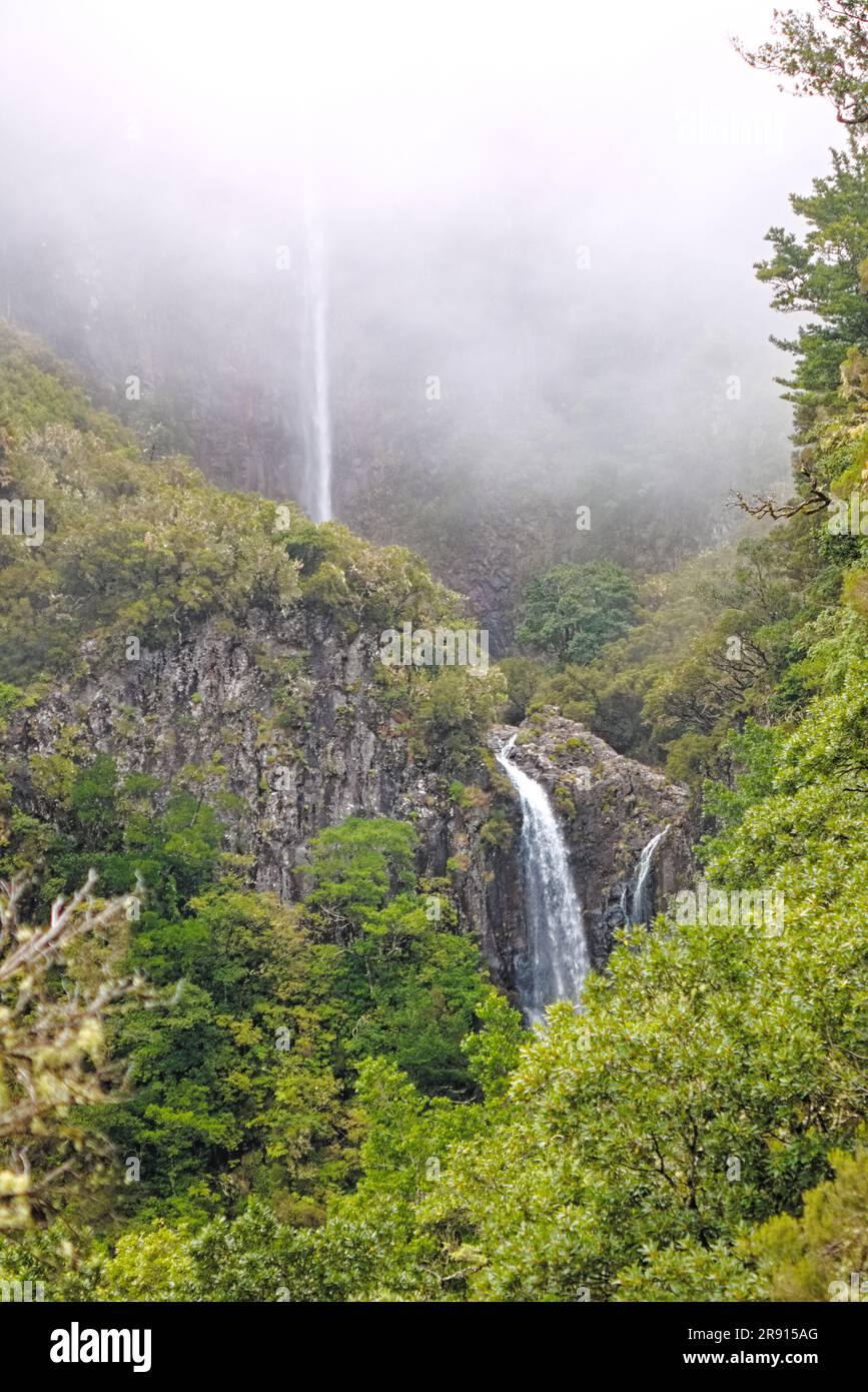 Madeira island beautiful waterfall and mountain landscape, national ...