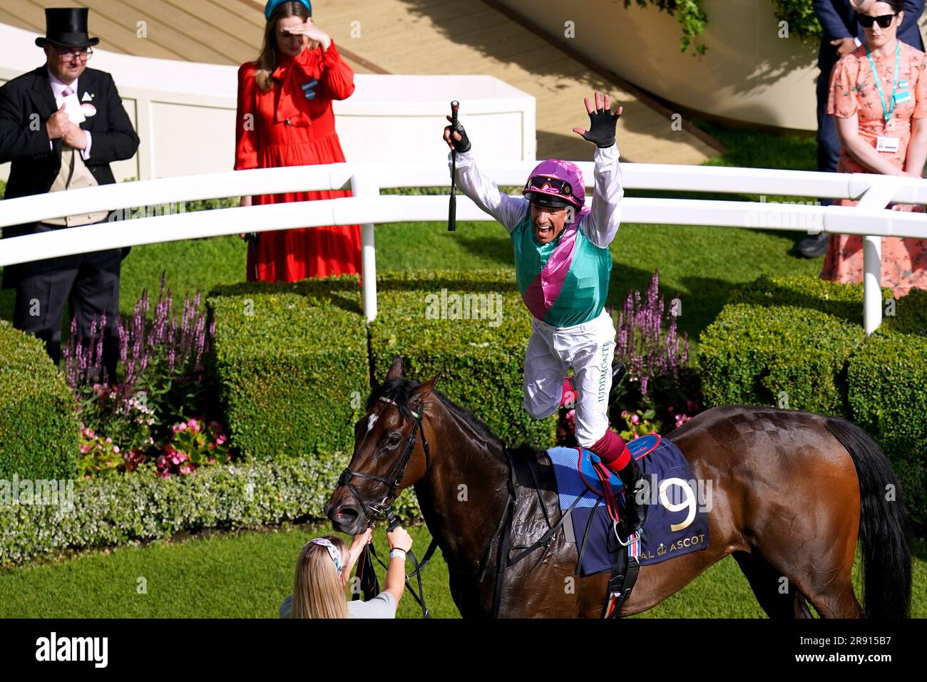 Coppice horse hi-res stock photography and images - Alamy