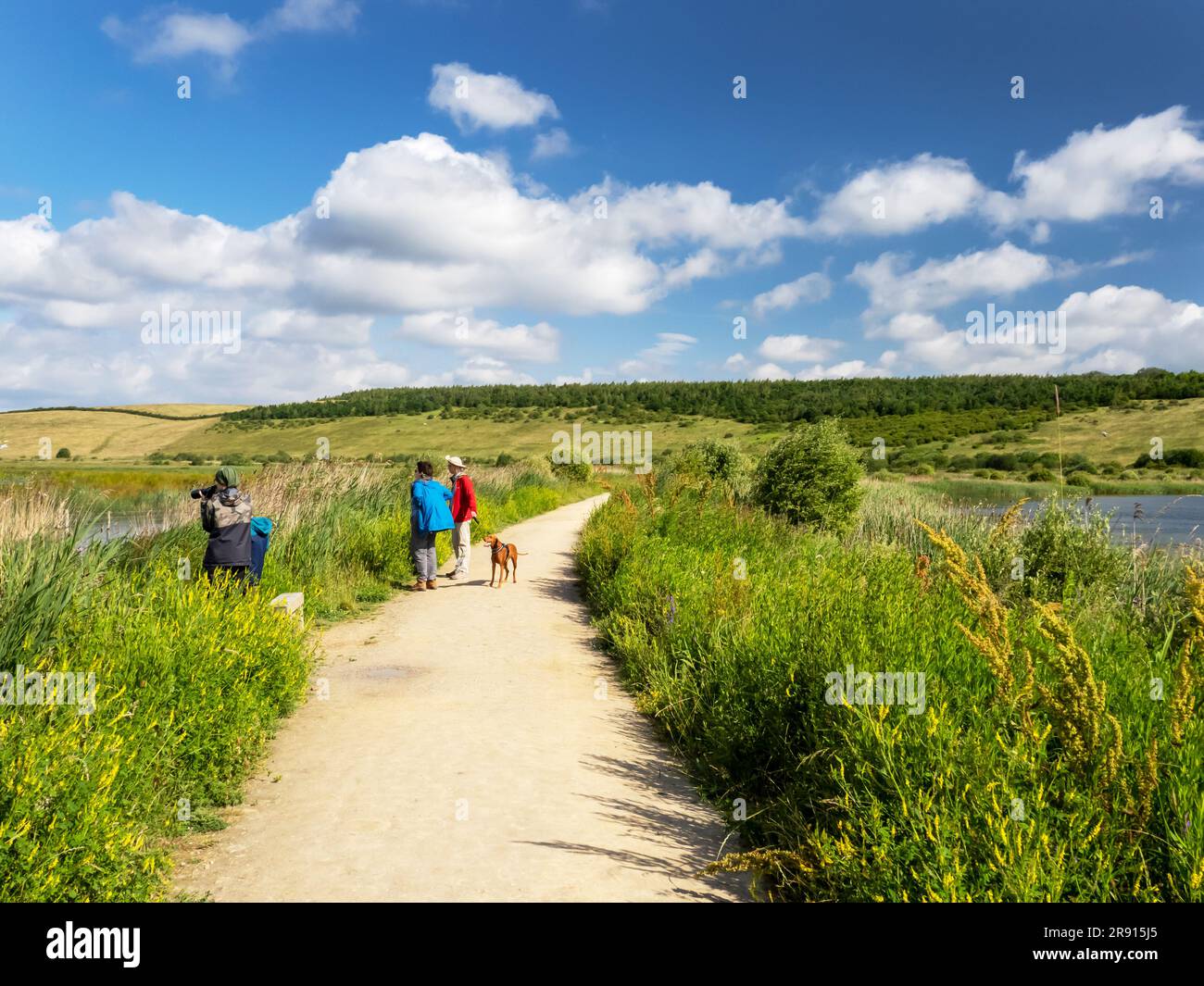 Swillington nature reserve hi-res stock photography and images - Alamy